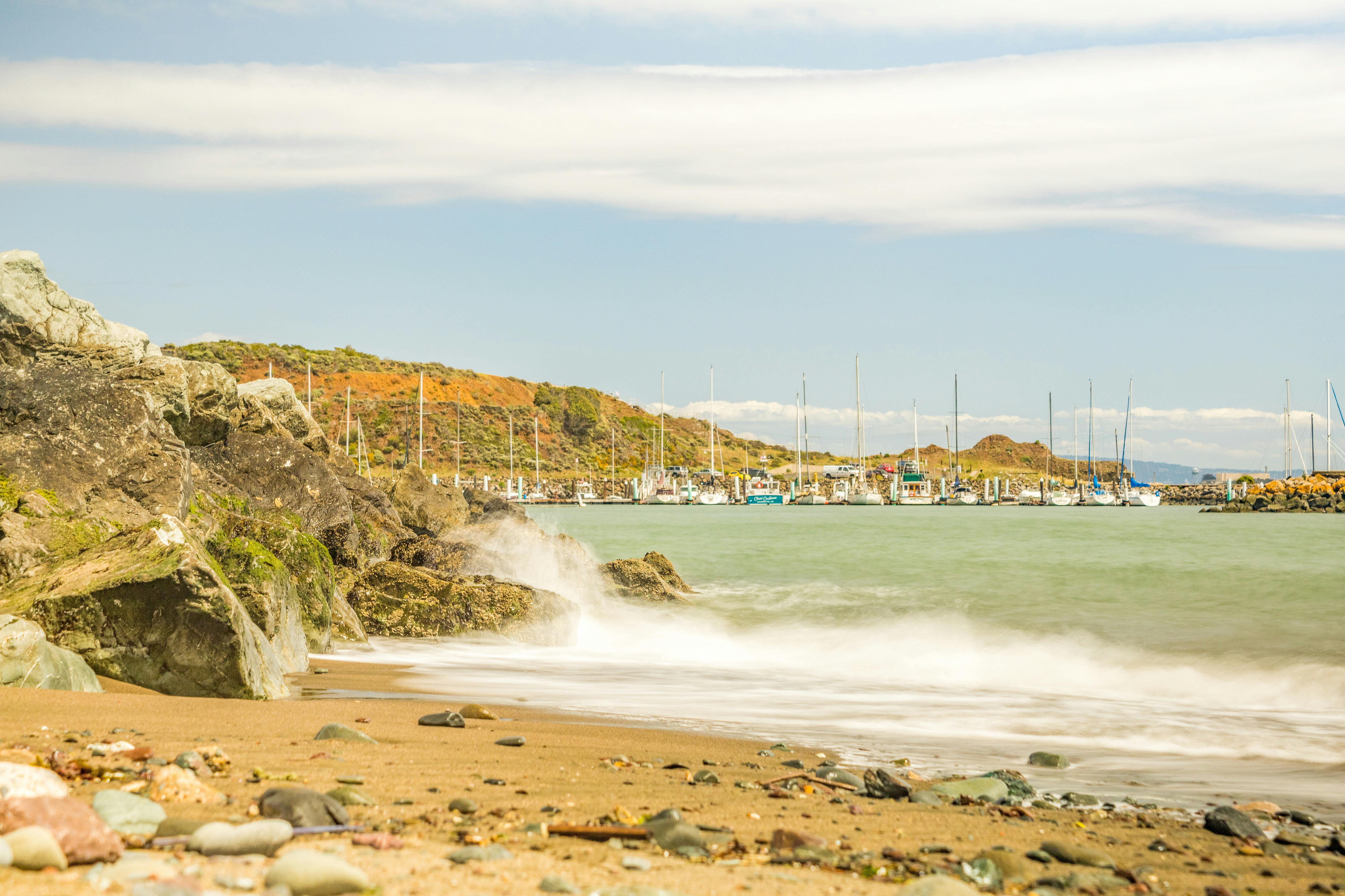 Photo of a Seacoast · Free Stock Photo