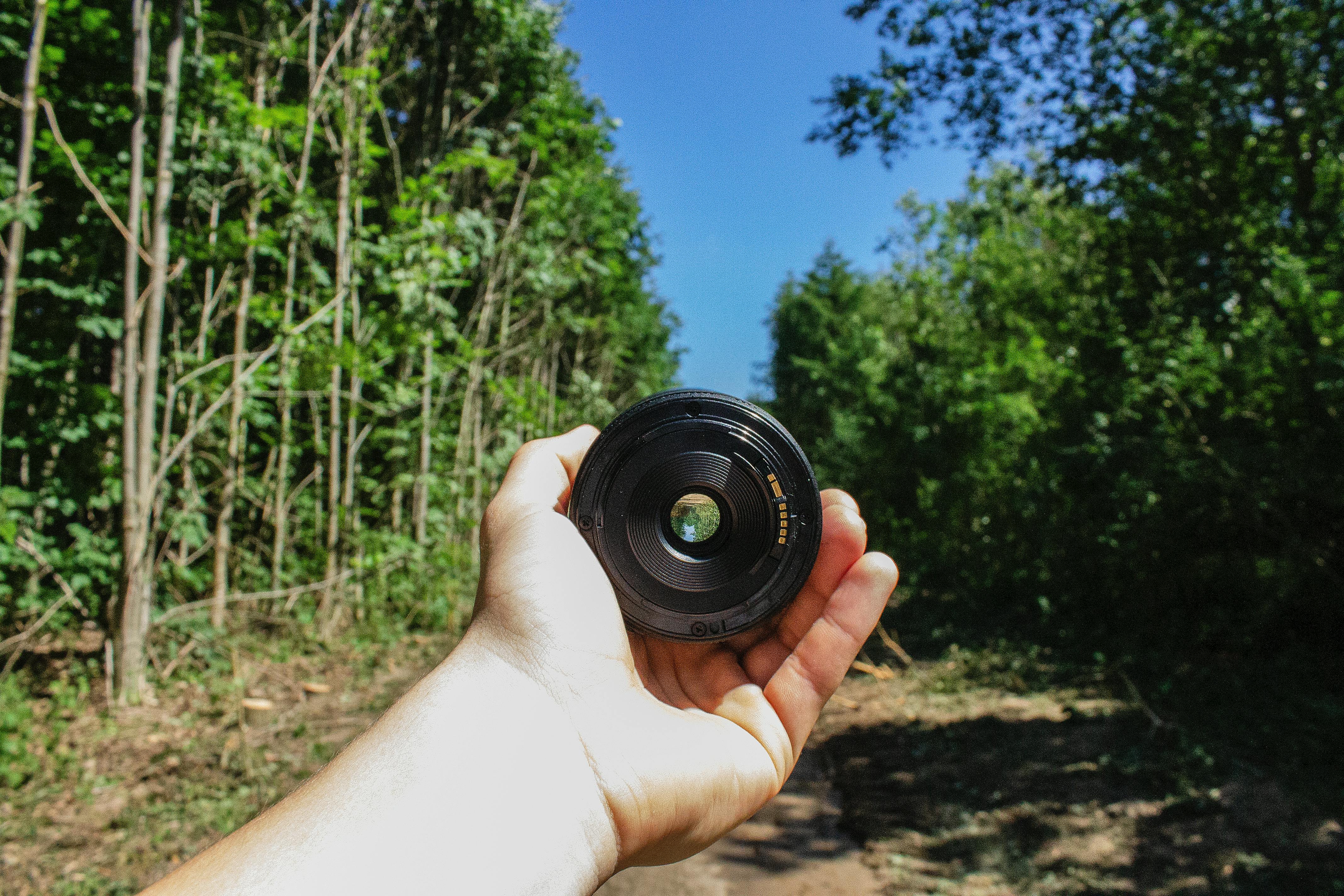 Person Holding Camera Lens in Woods · Free Stock Photo