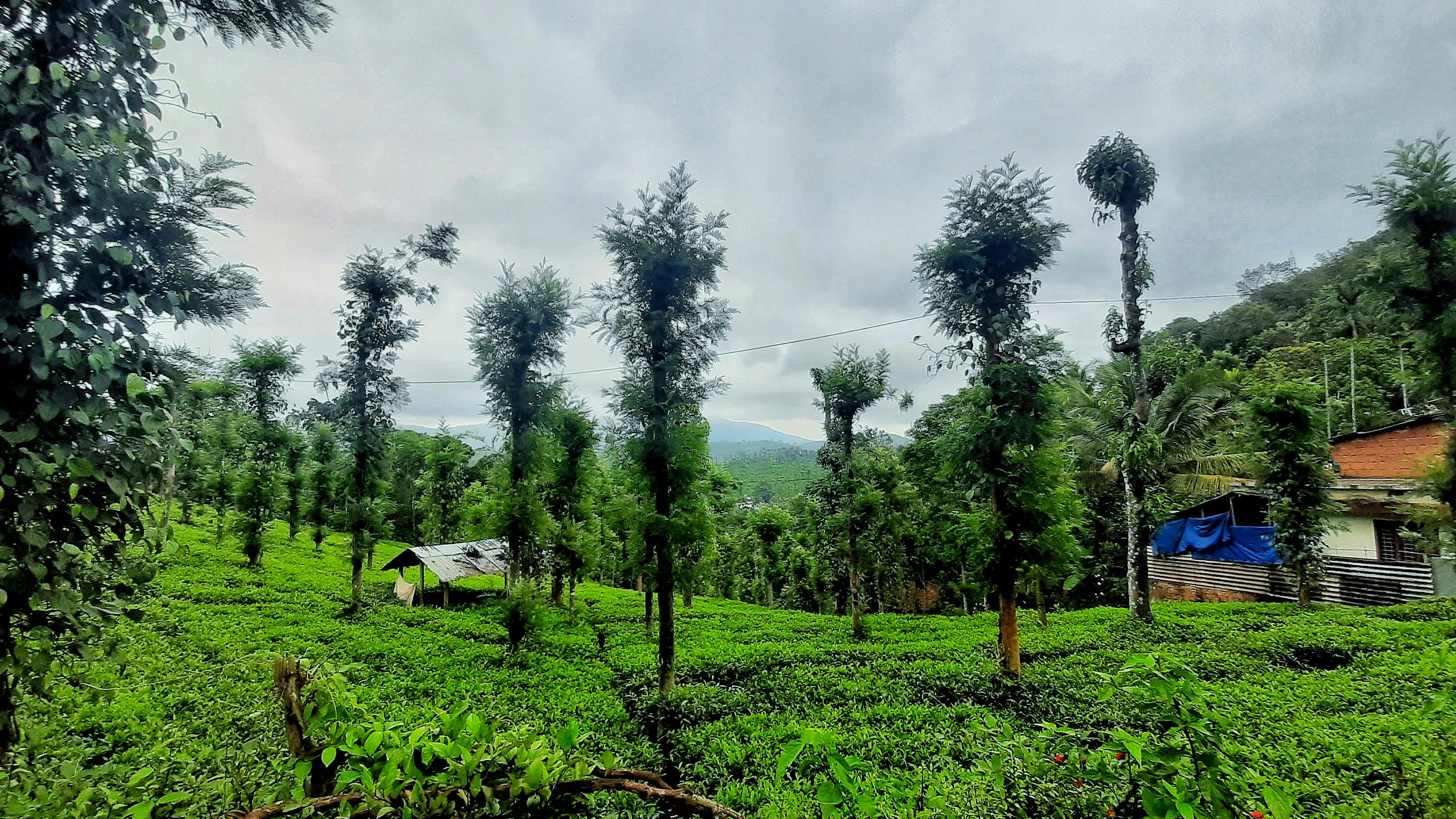 Binil Babu - Photography