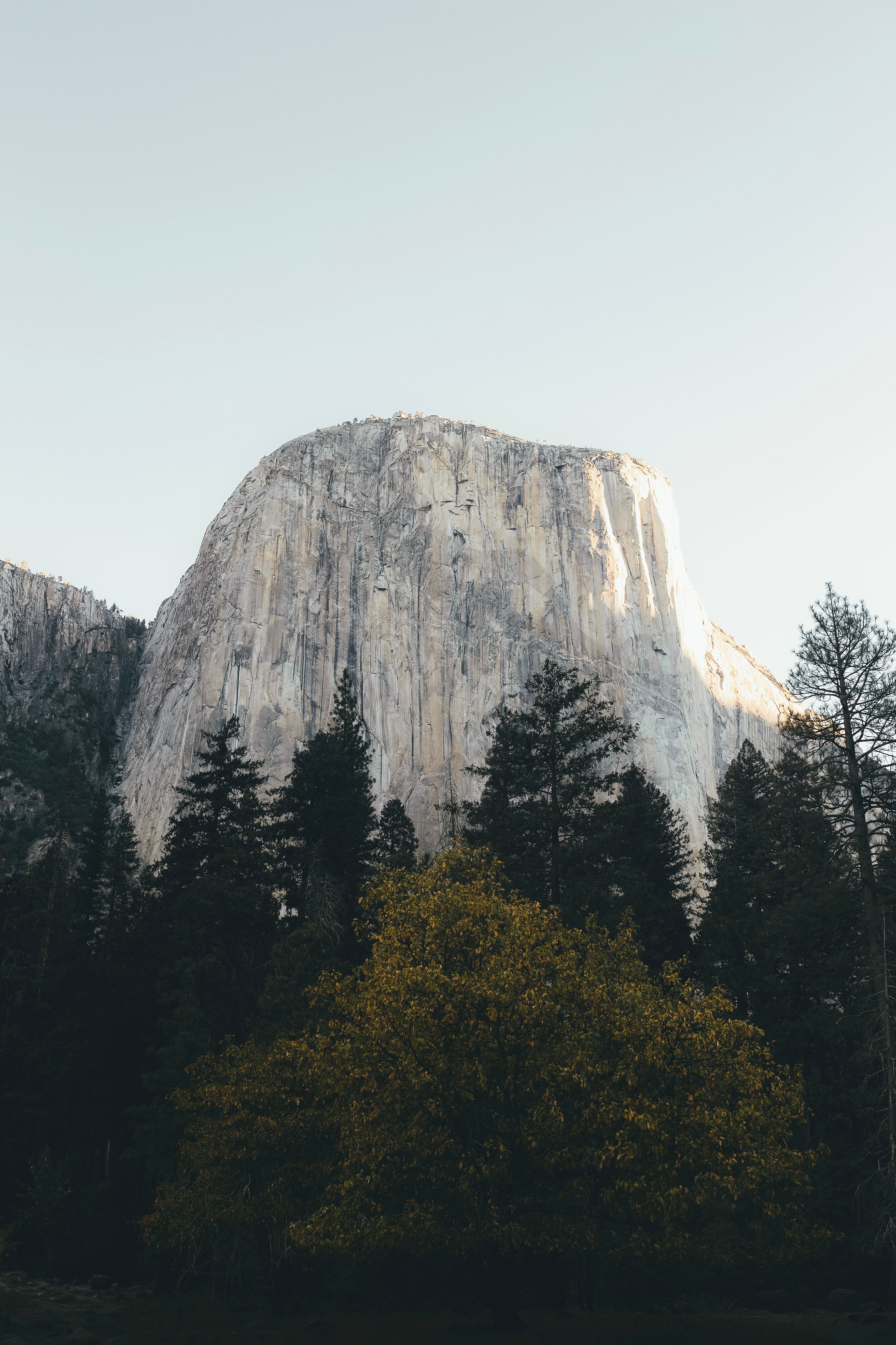 El Capitan Rock Formation in Yosemite National Park · Free Stock Photo