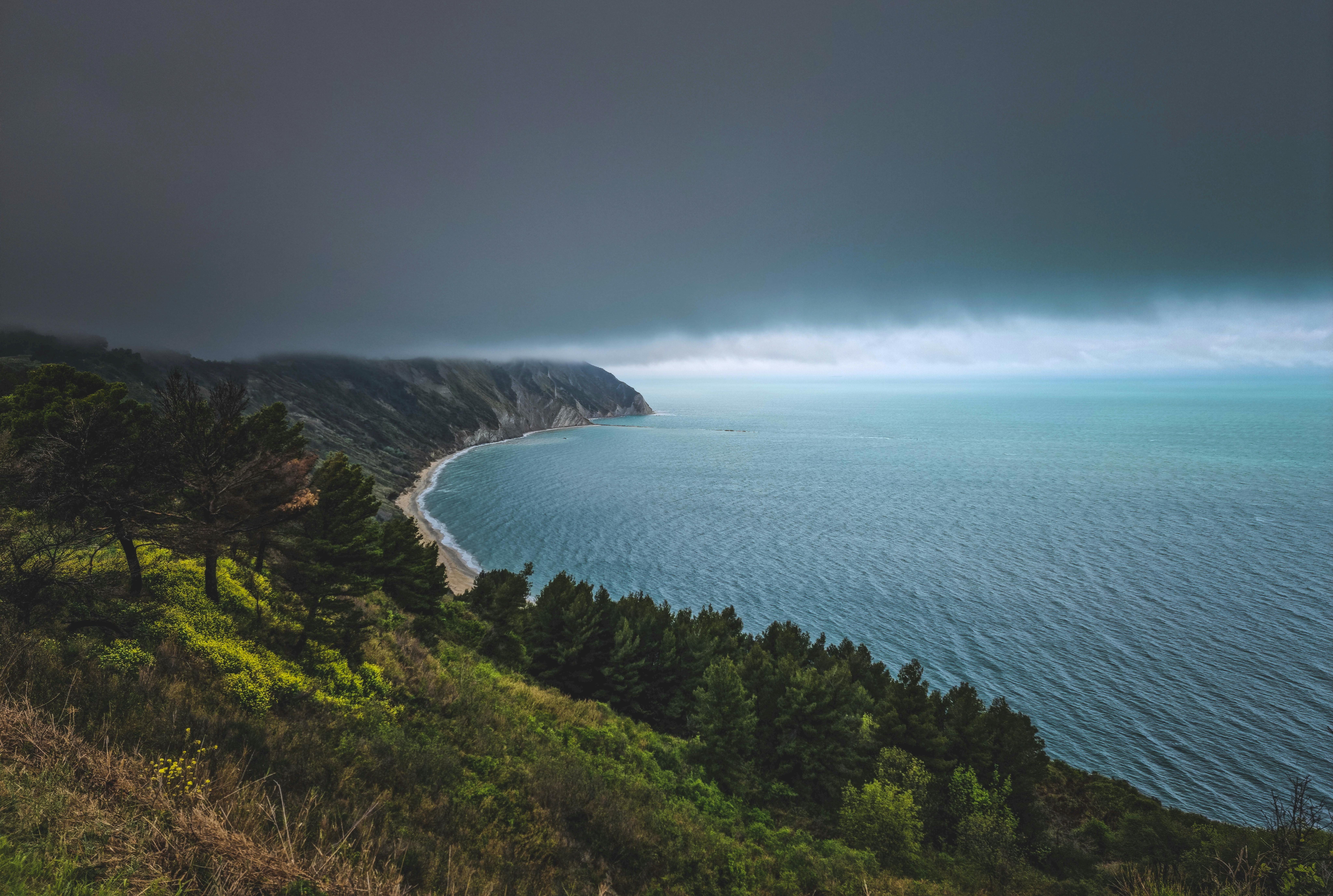 Drone Shot of a Sea Near Green Trees · Free Stock Photo