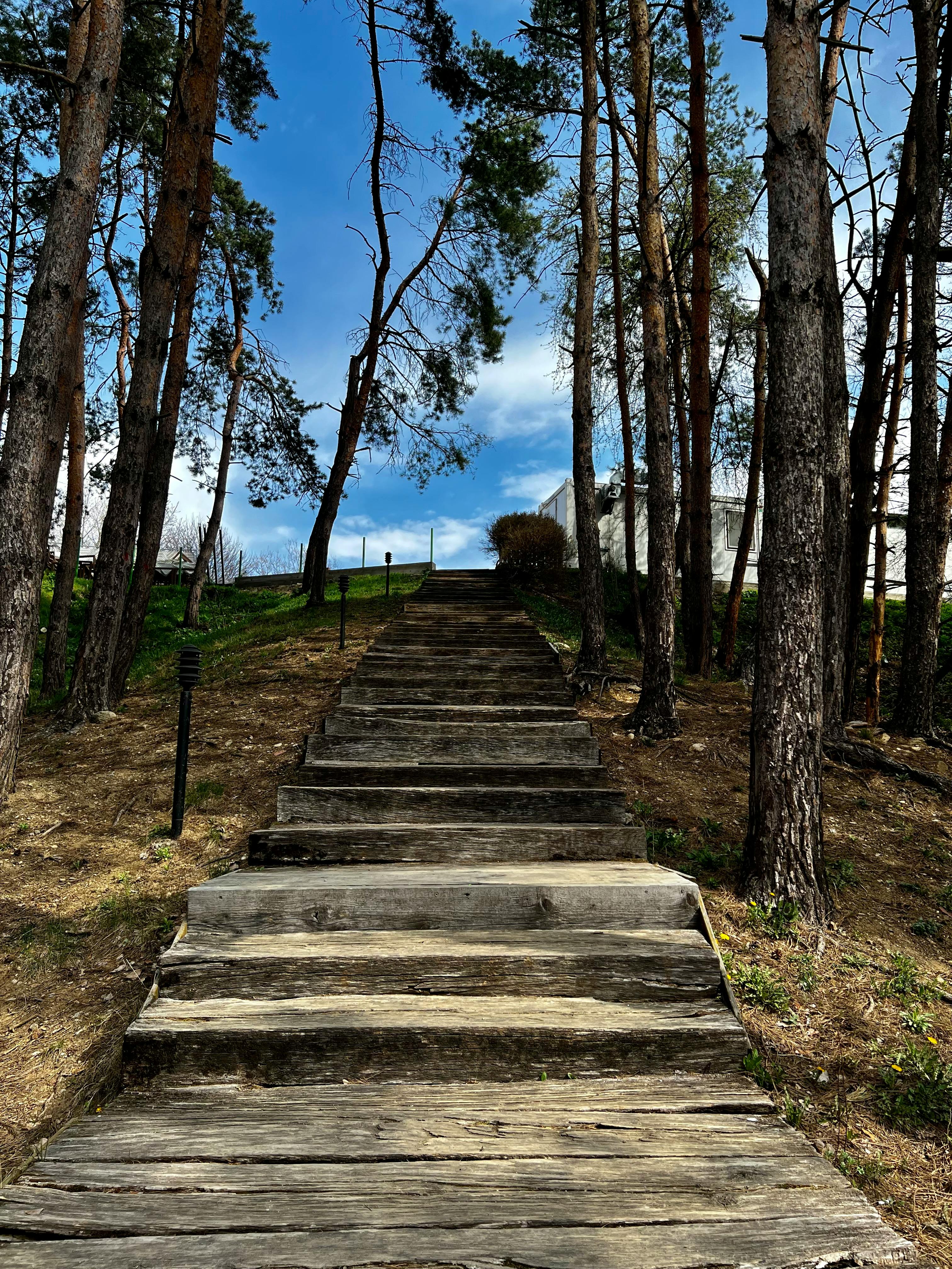 9.000+ Fotos y Imágenes de Sendero Gratis · Banco de Imágenes Gratis ...