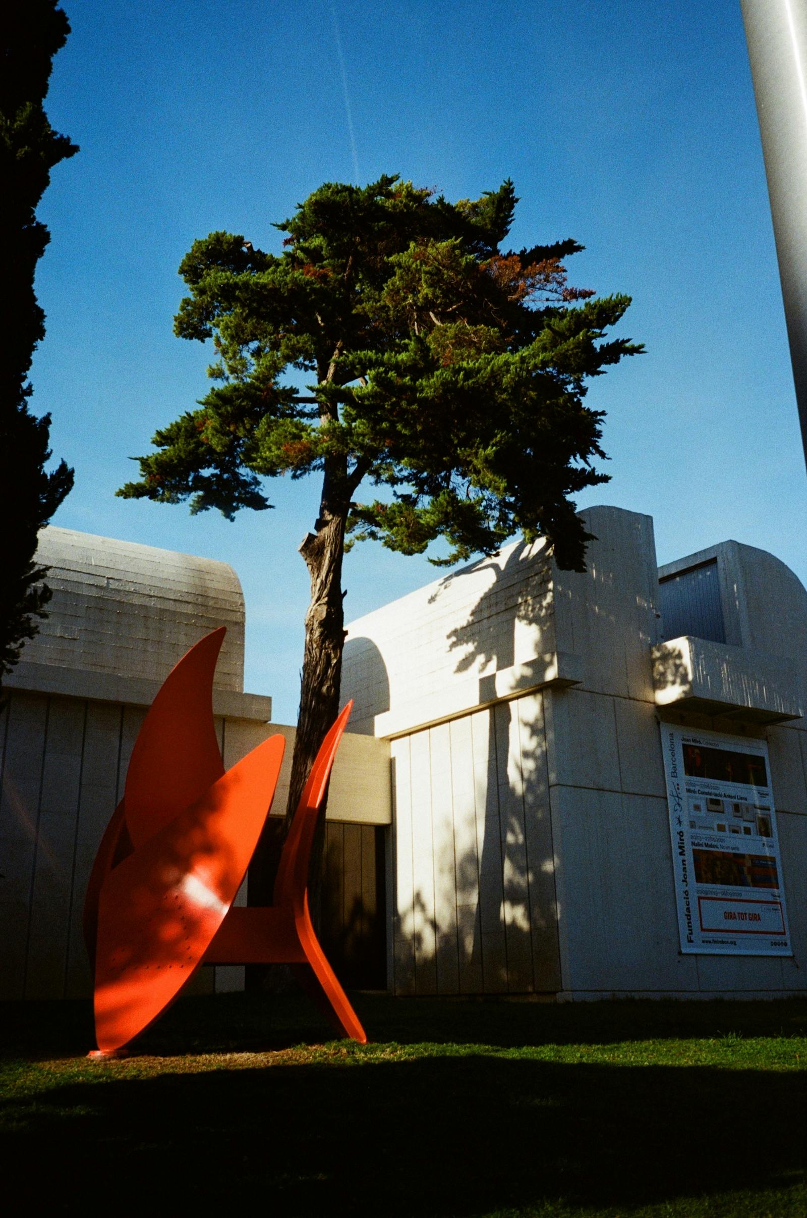 Miro Photos, Download The BEST Free Miro Stock Photos & HD Images