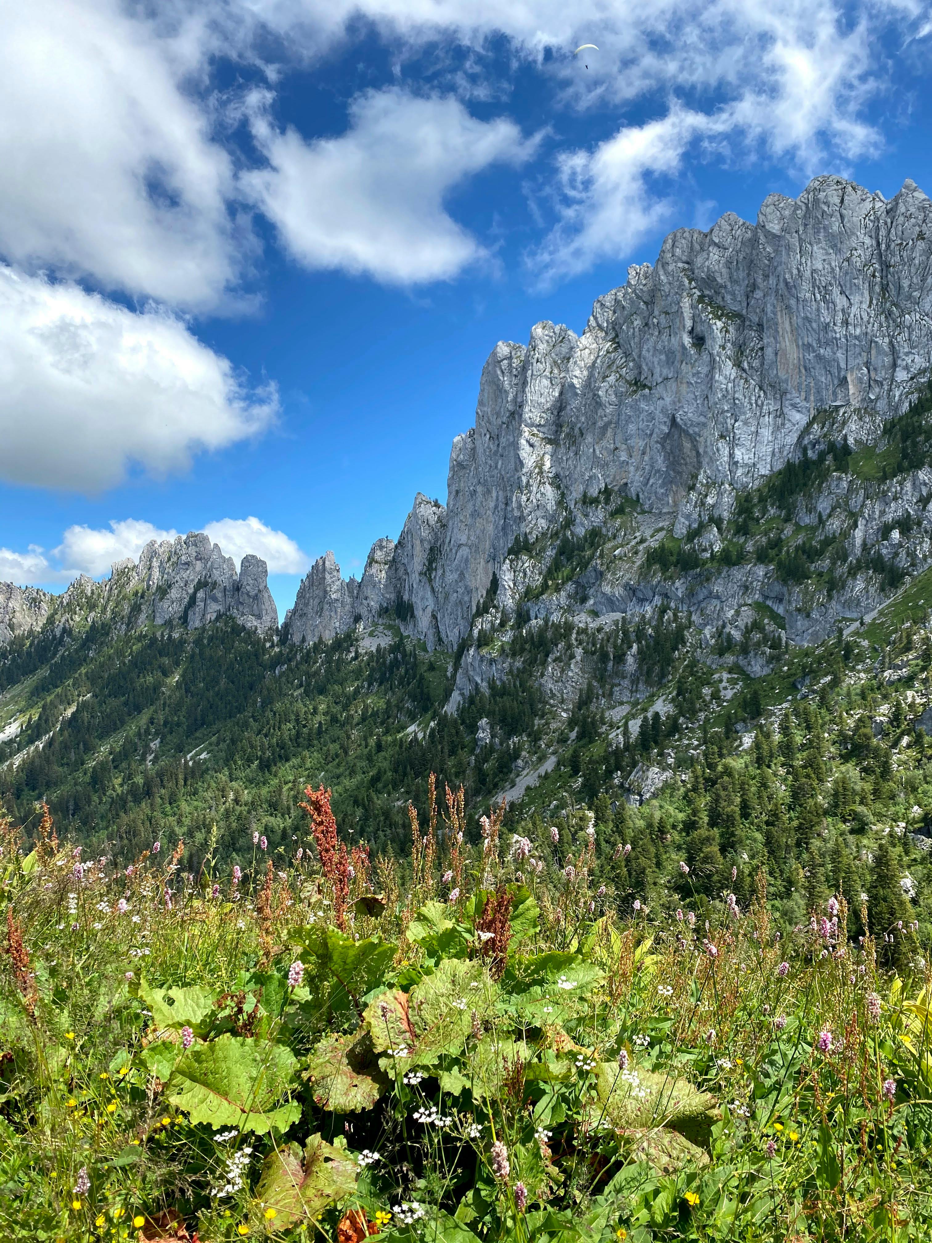 Gray Rocky mountain Under the Blue Sky · Free Stock Photo