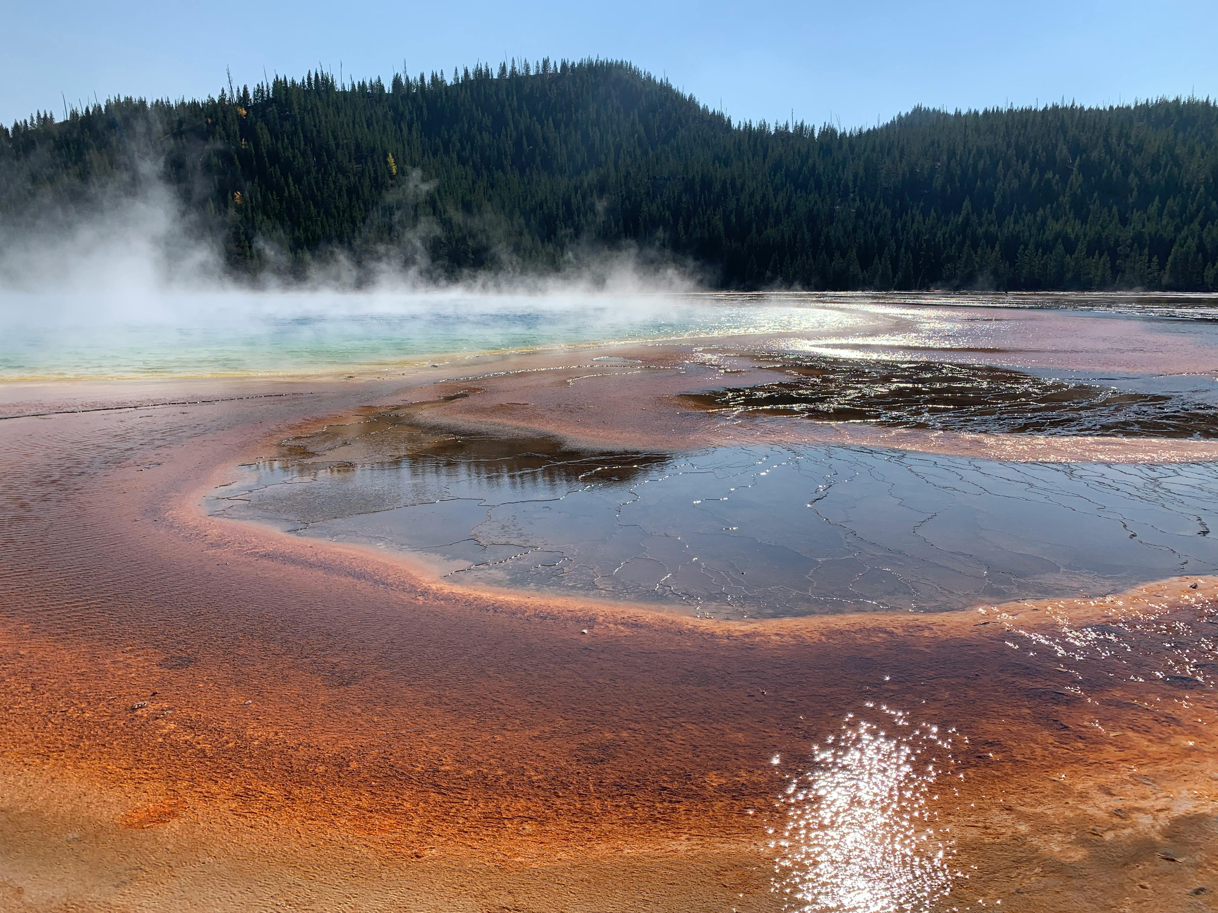 Steaming Hot Springs · Free Stock Photo
