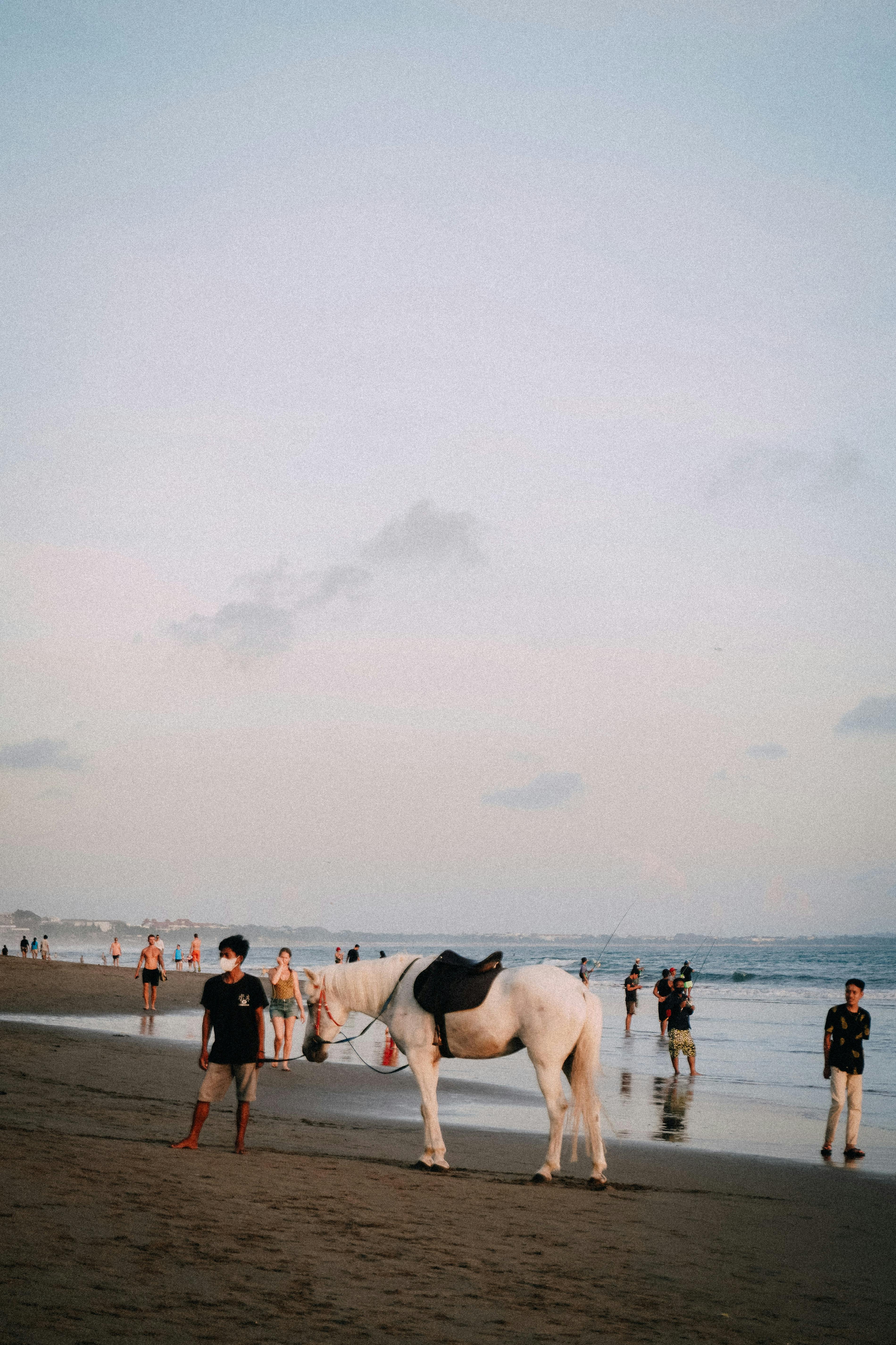 People Walking on the Beach · Free Stock Photo
