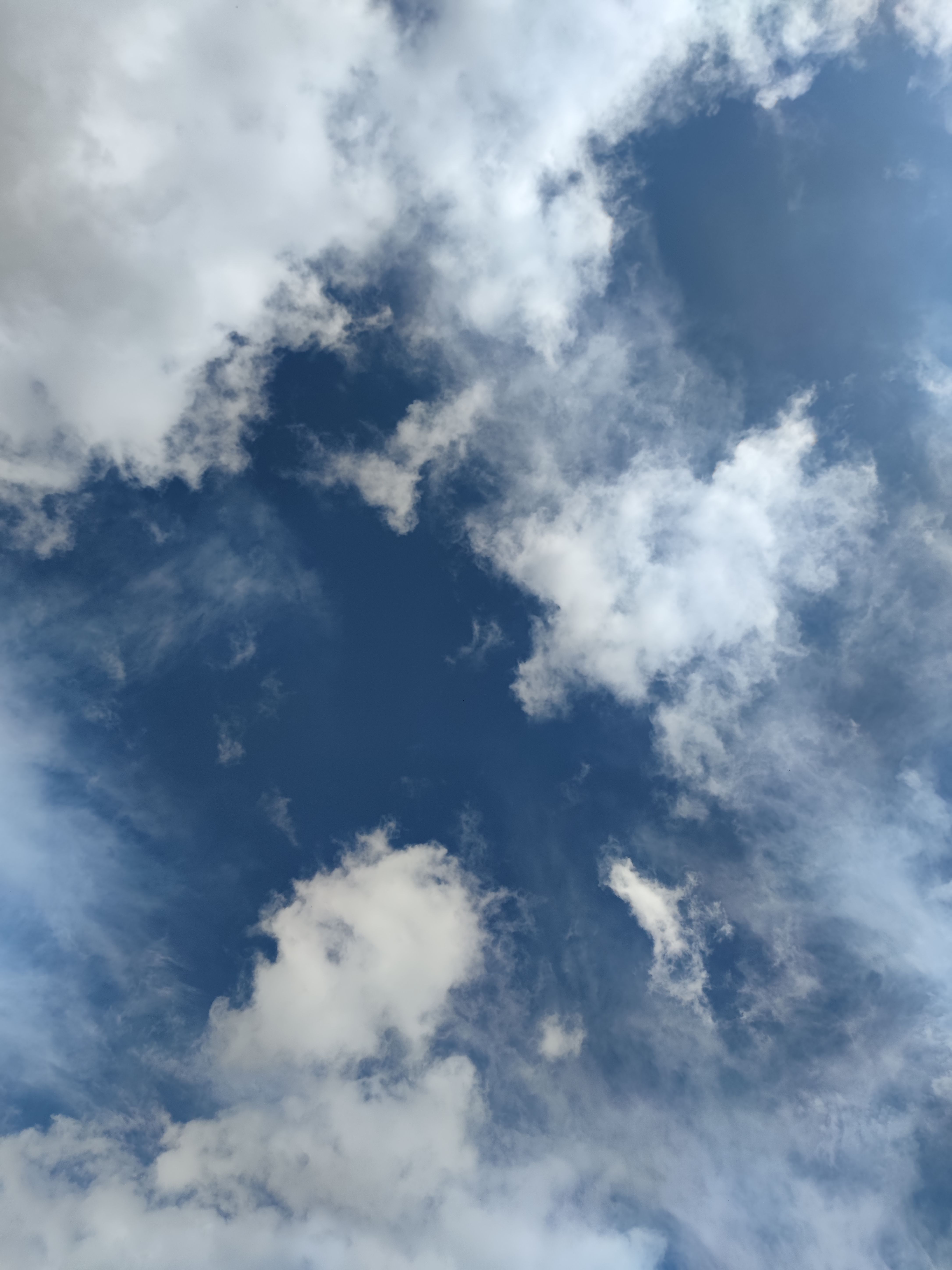 White Sky · Free Stock Photo