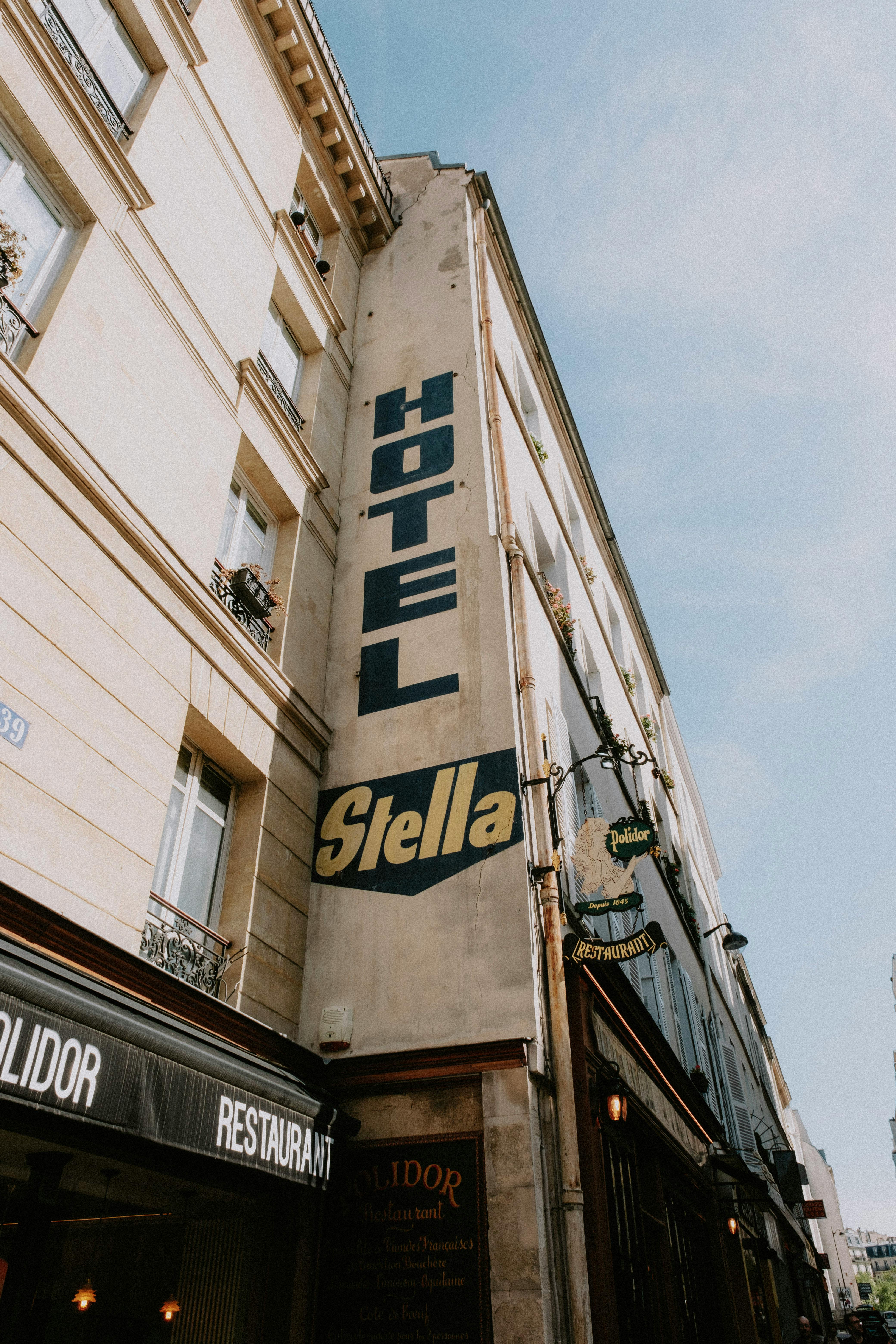 Stella Hazbin Hotel Photos, Download The BEST Free Stella Hazbin Hotel ...