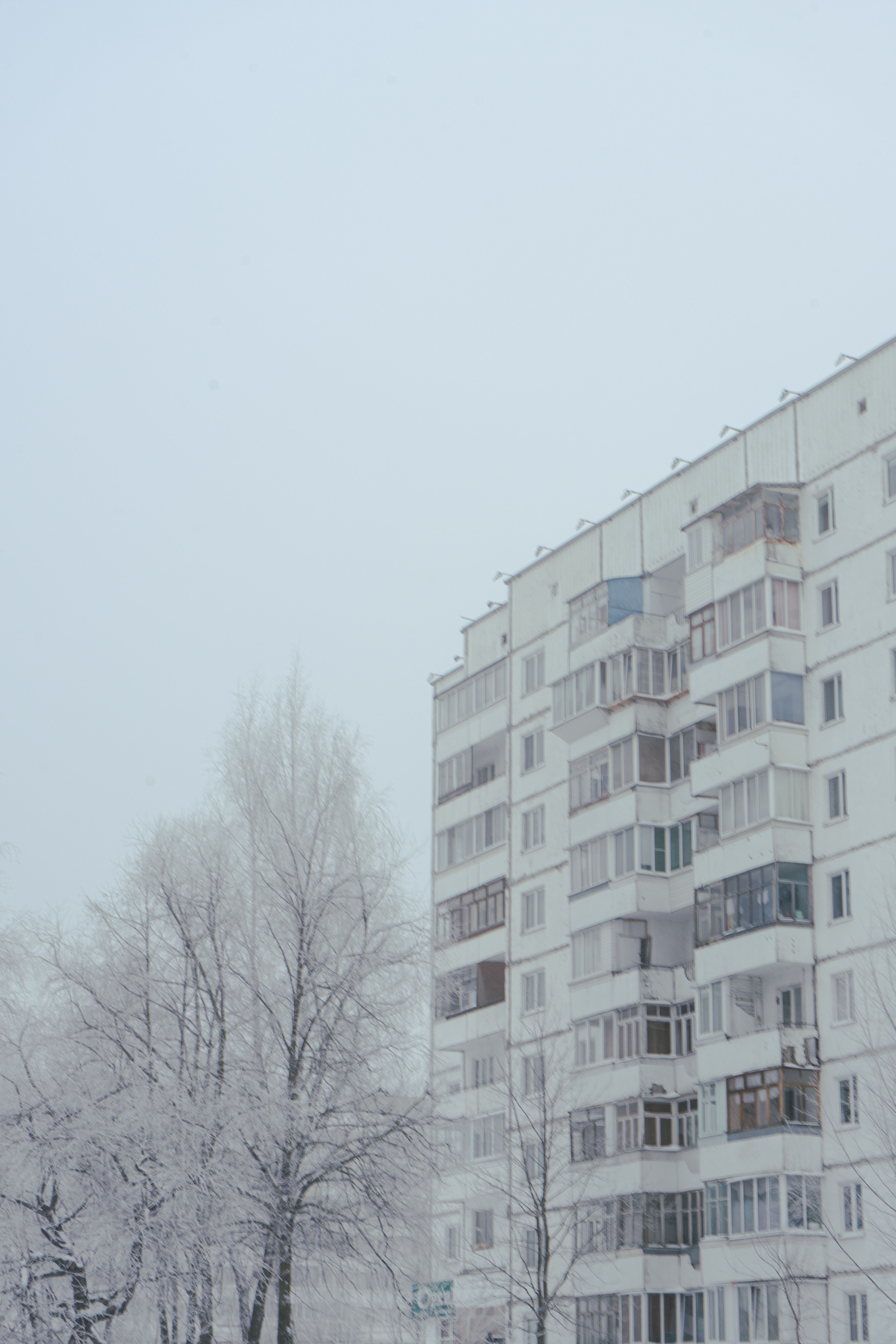 Trees and an Apartment Building in Winter · Free Stock Photo