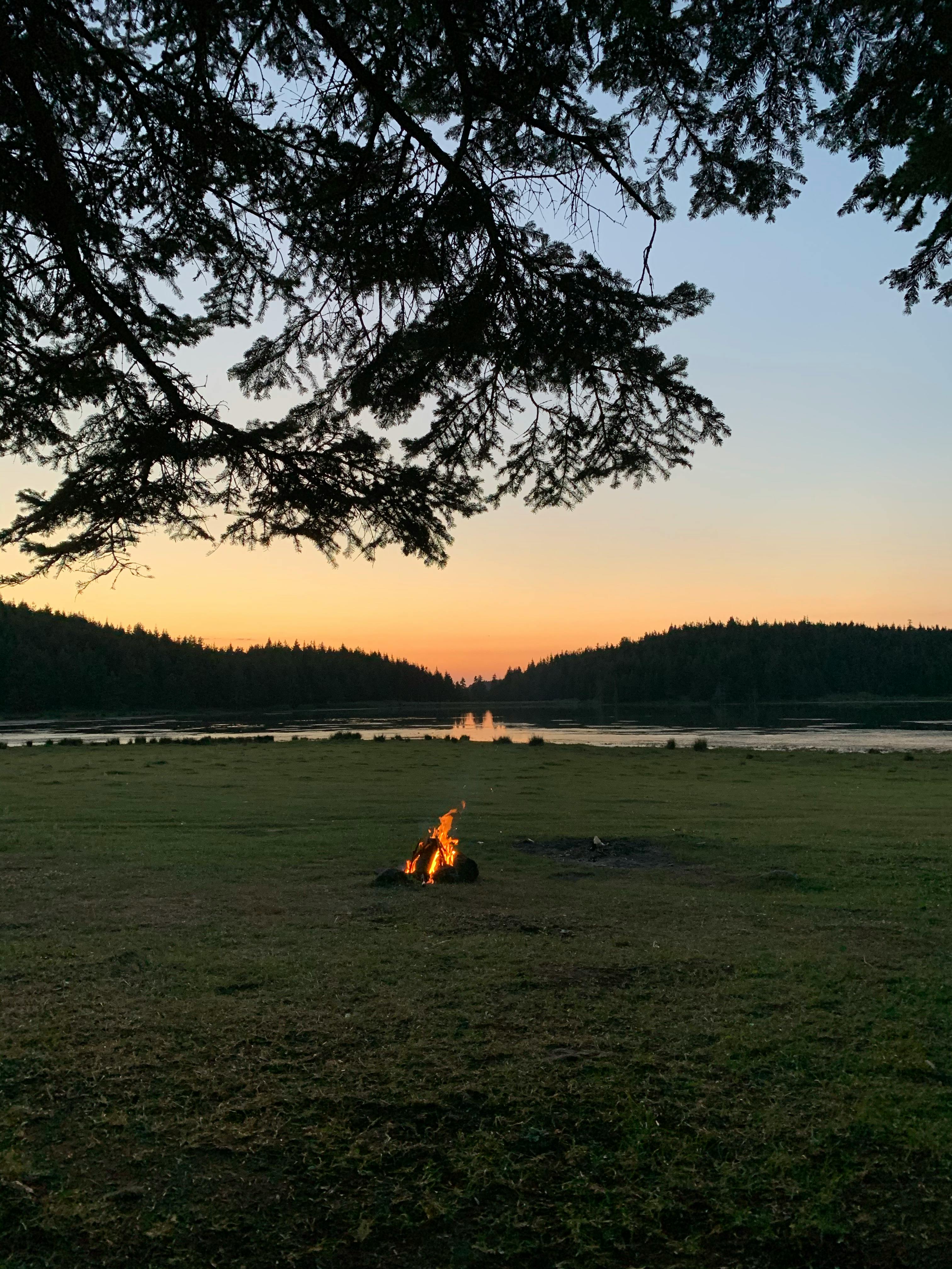 Campfire Being Lit by a Lake · Free Stock Photo