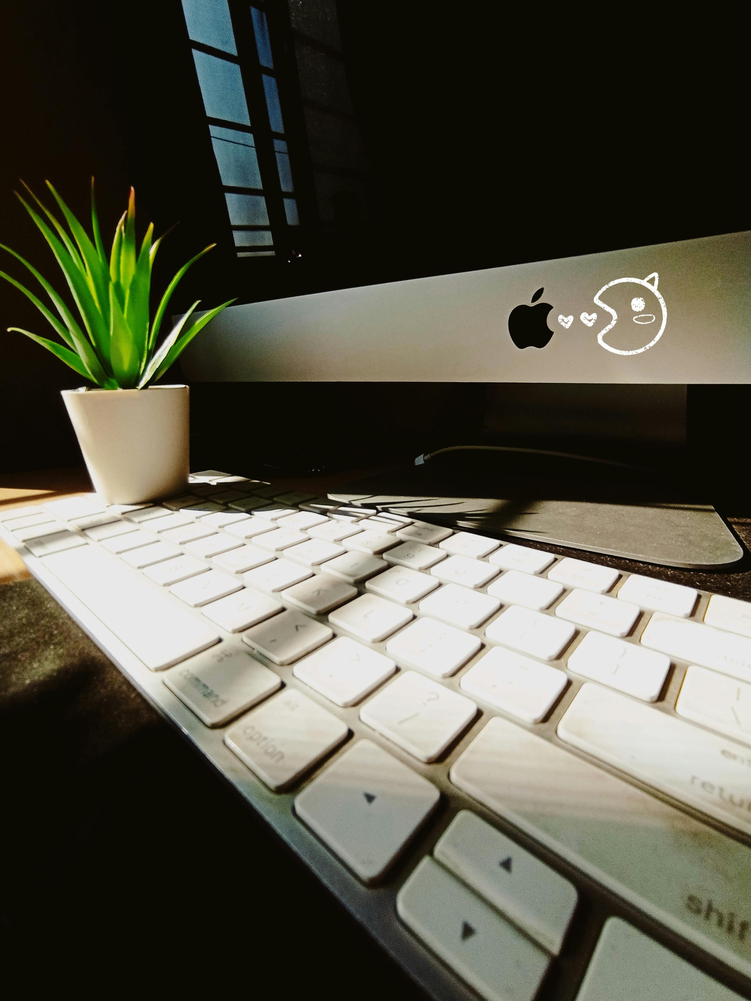 Akhtar Shaikh - 写真