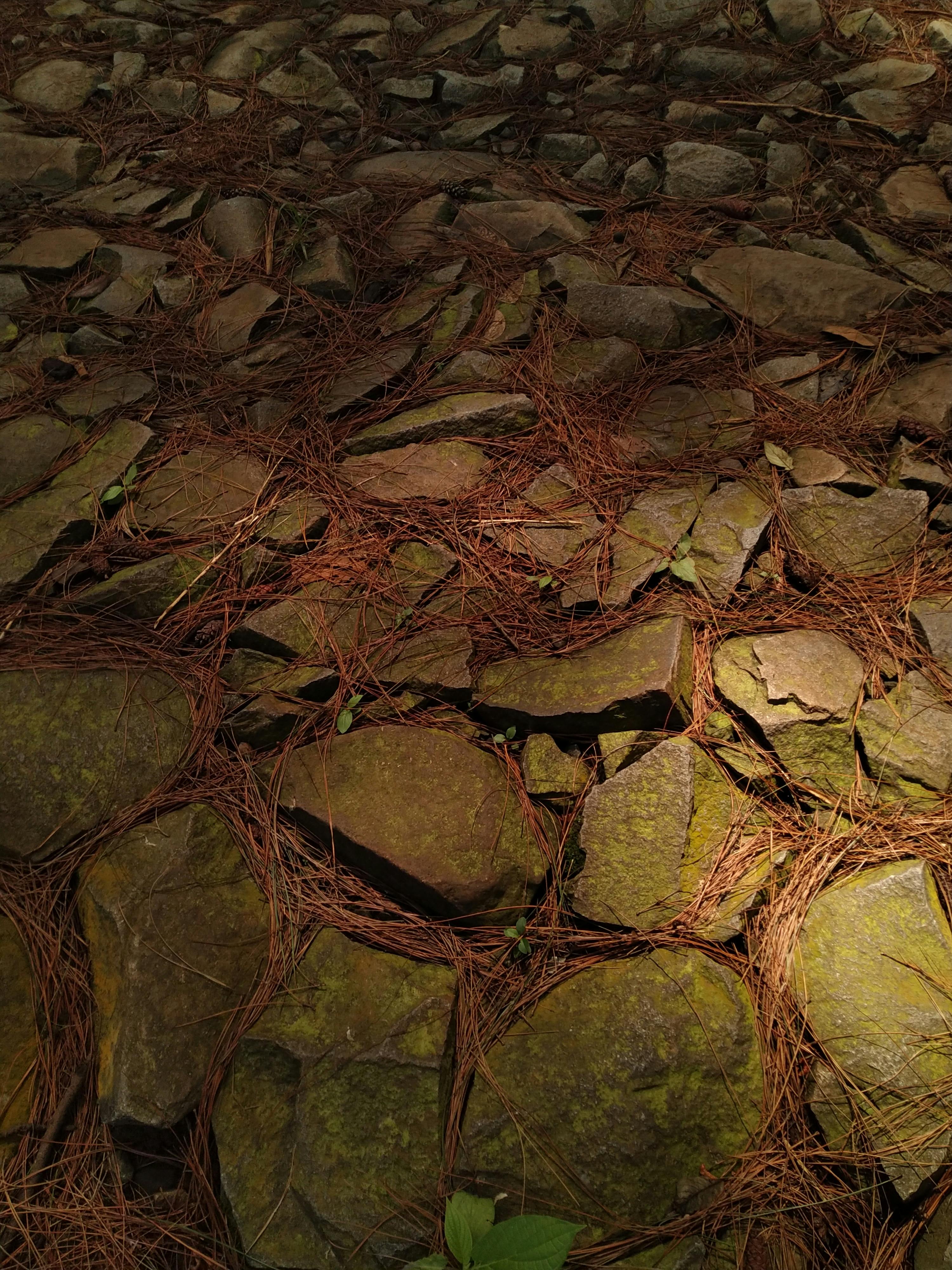 Gray Stone · Free Stock Photo