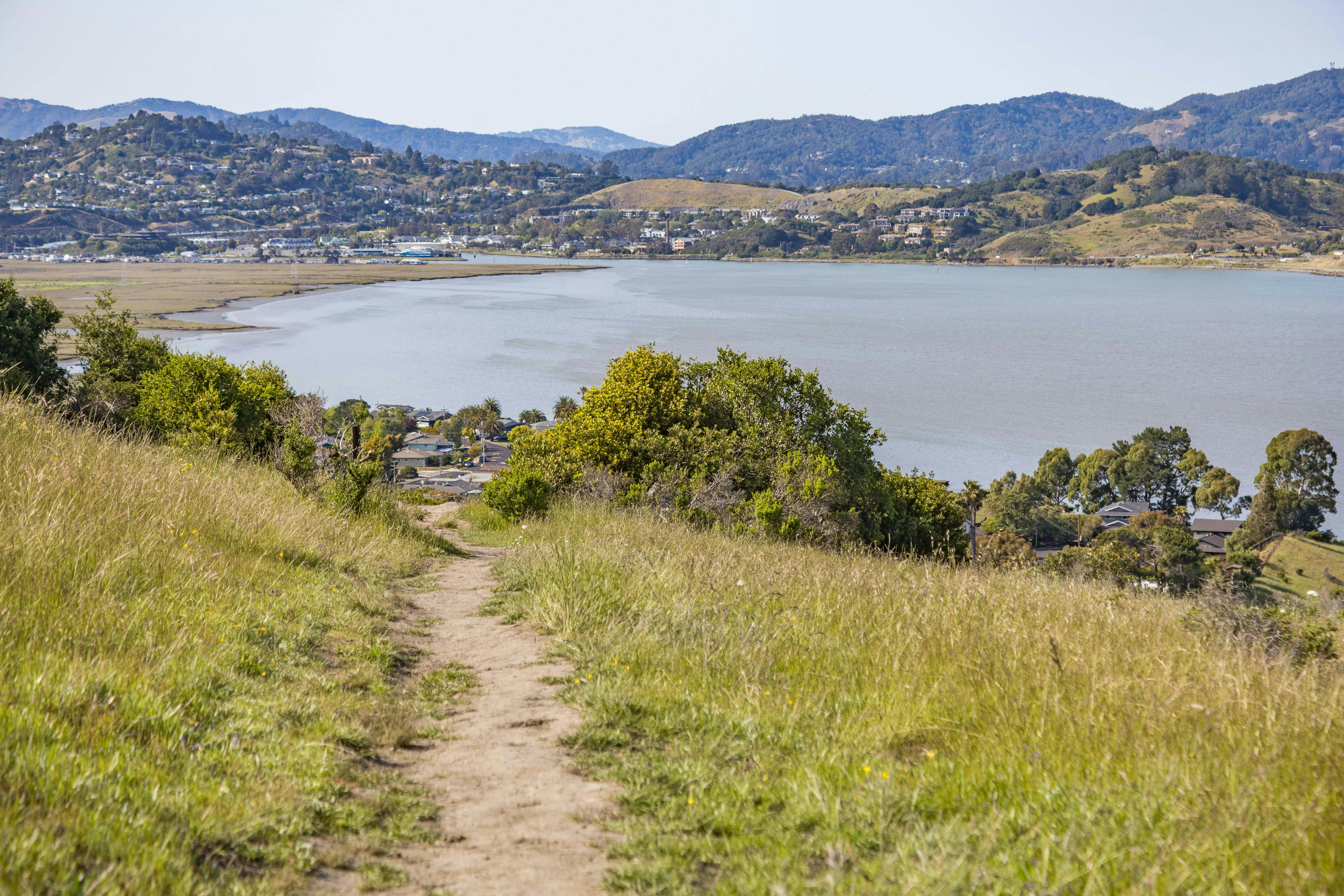 Path in the Grass Leading to a Lake · Free Stock Photo