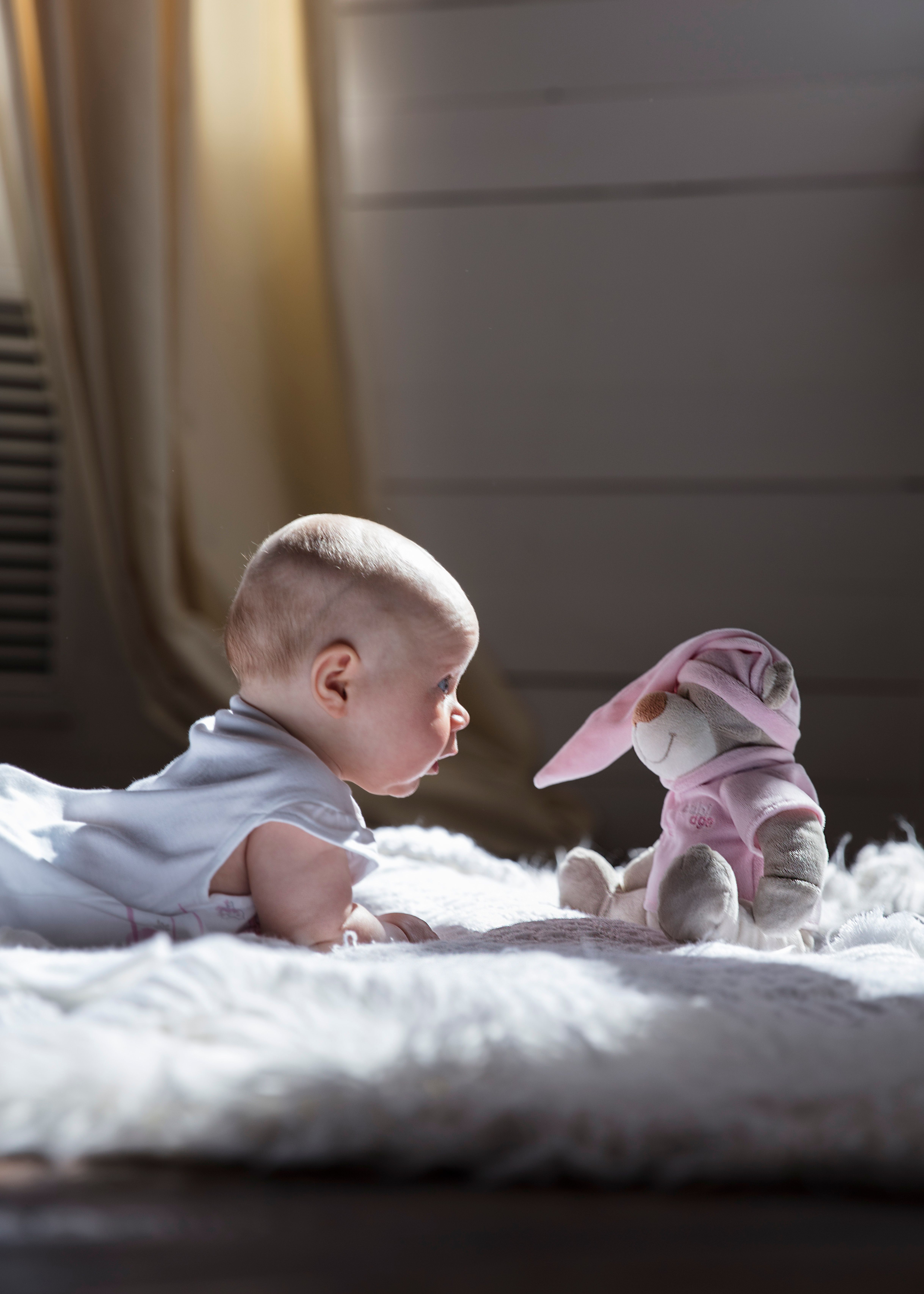 Baby Bear Photos, Download The BEST Free Baby Bear Stock Photos & HD Images