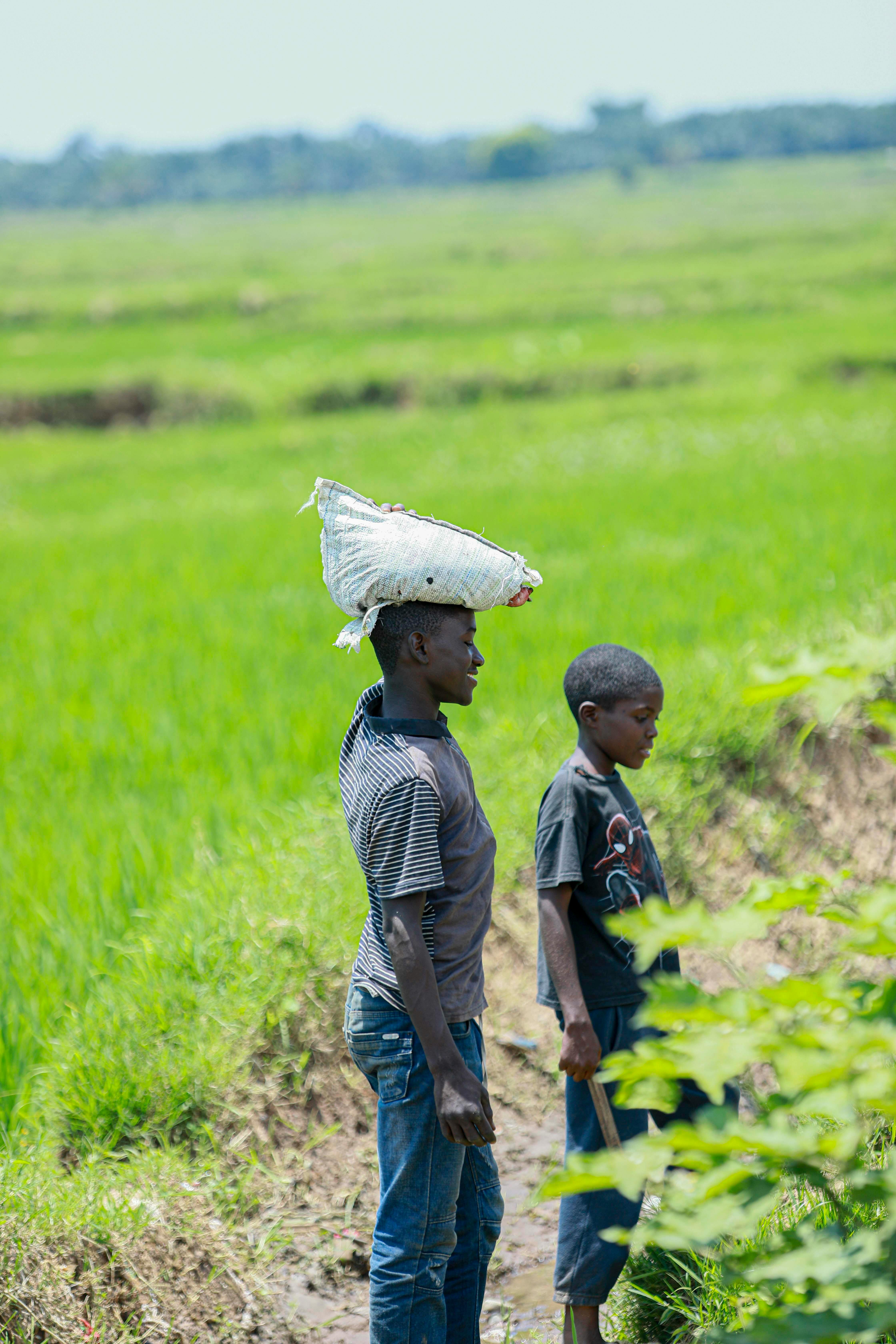 Boys Working in Countryside · Free Stock Photo
