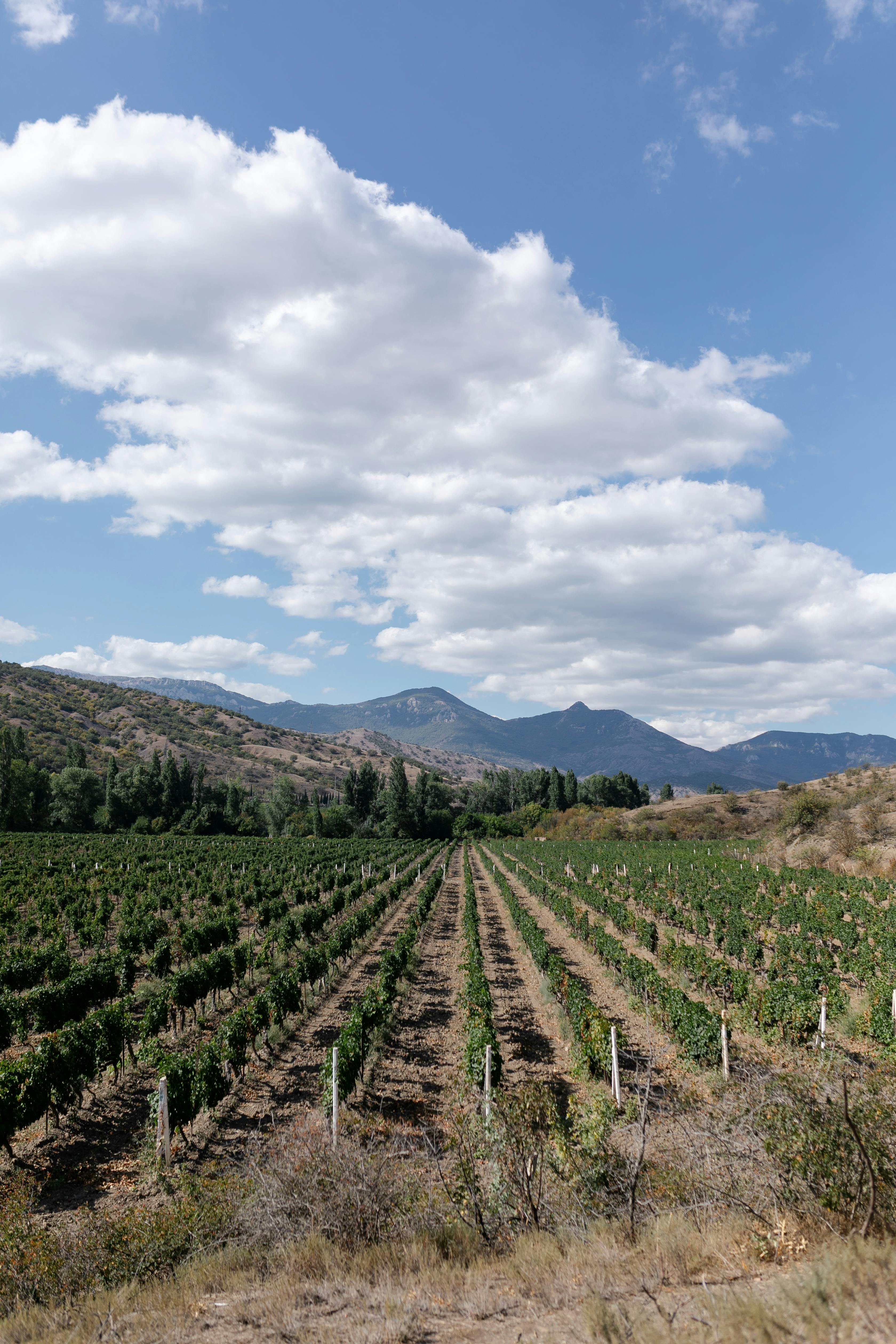 Free stock photo of agriculture, amazing, beautiful, beauty, country ...