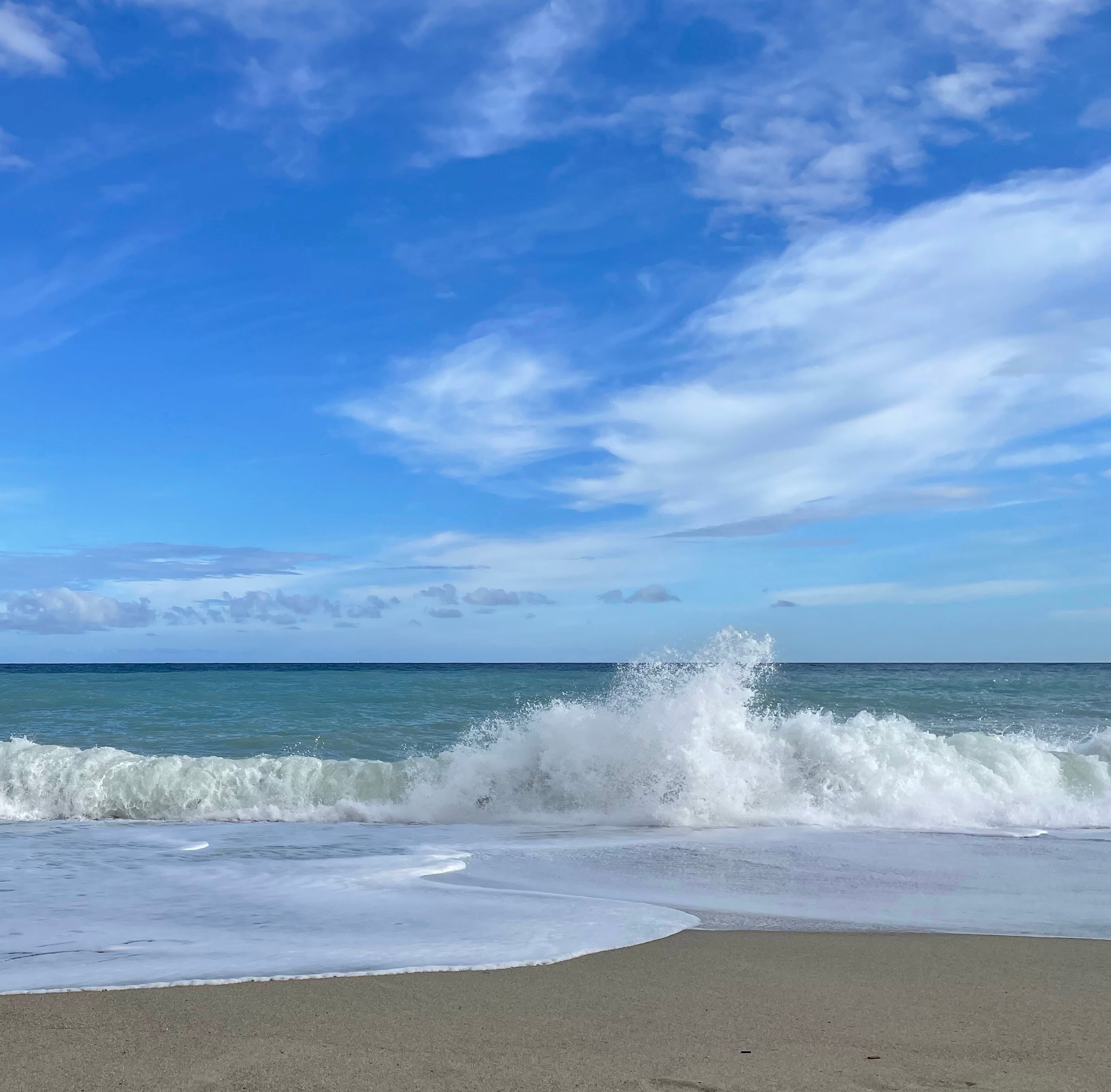 A Swing on the Beach · Free Stock Photo