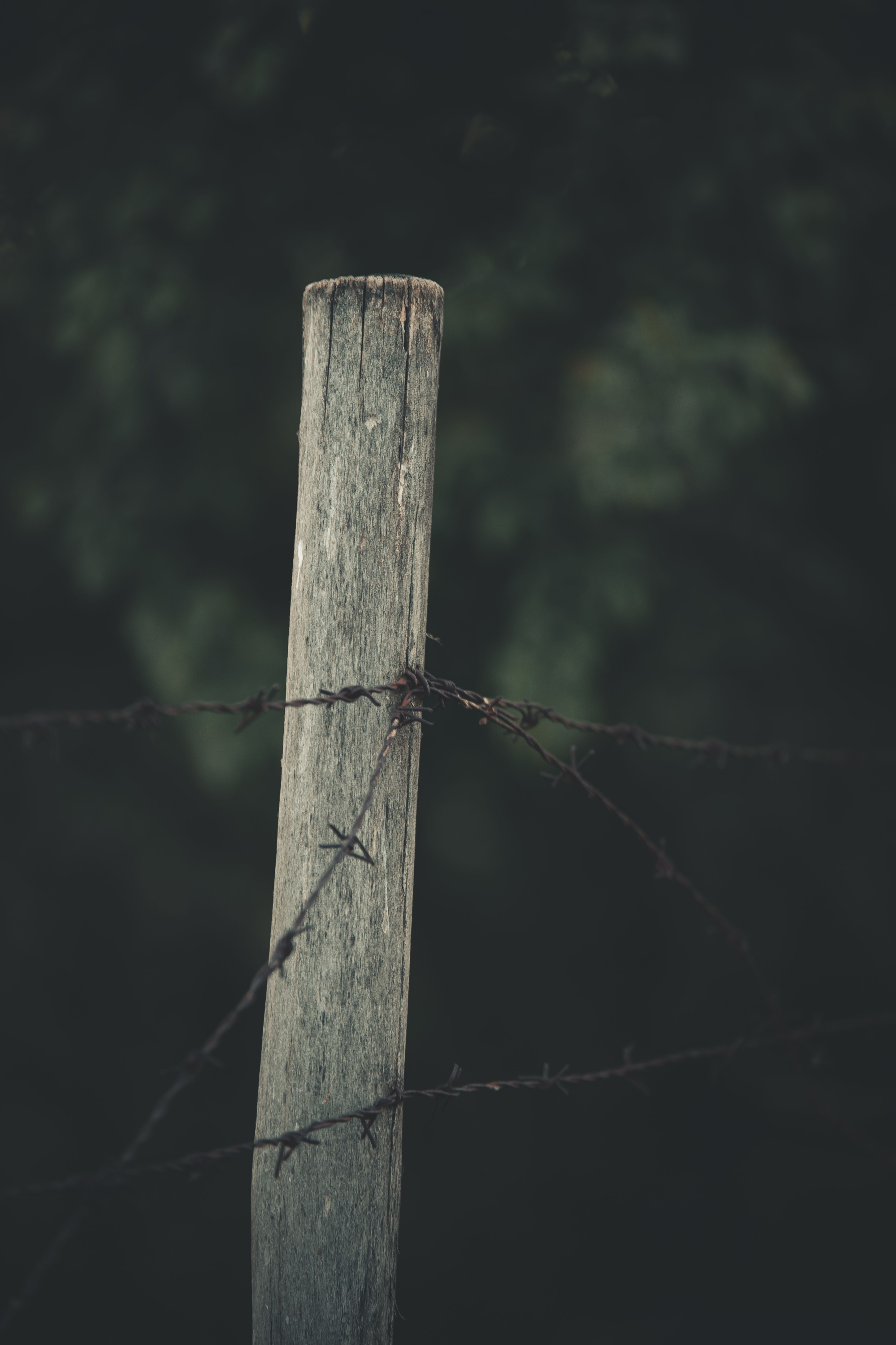 Person Wearing Black Zentai Suit with a Barbed Wire Circling the Body ...