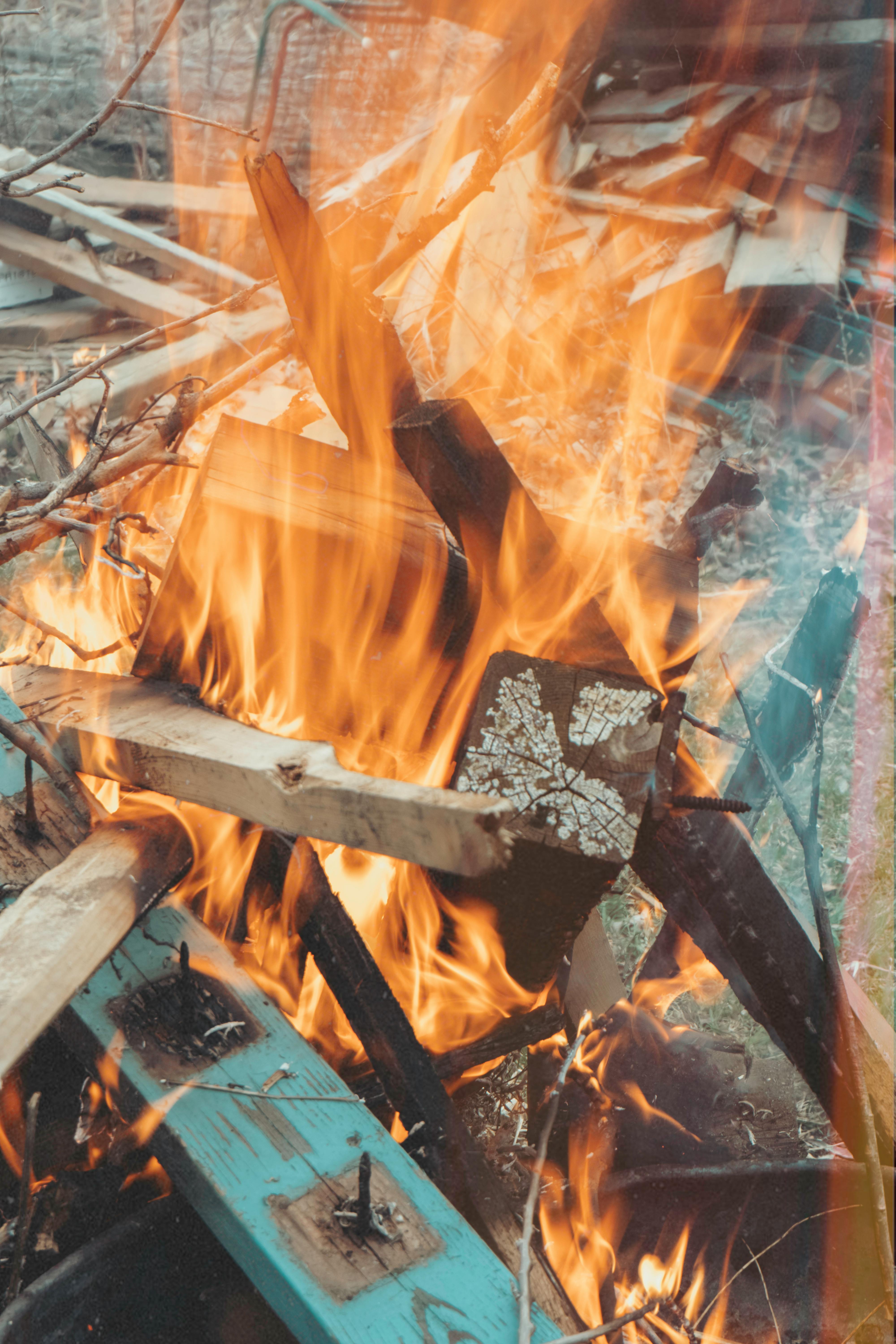 Black and Red Fitted Cap · Free Stock Photo