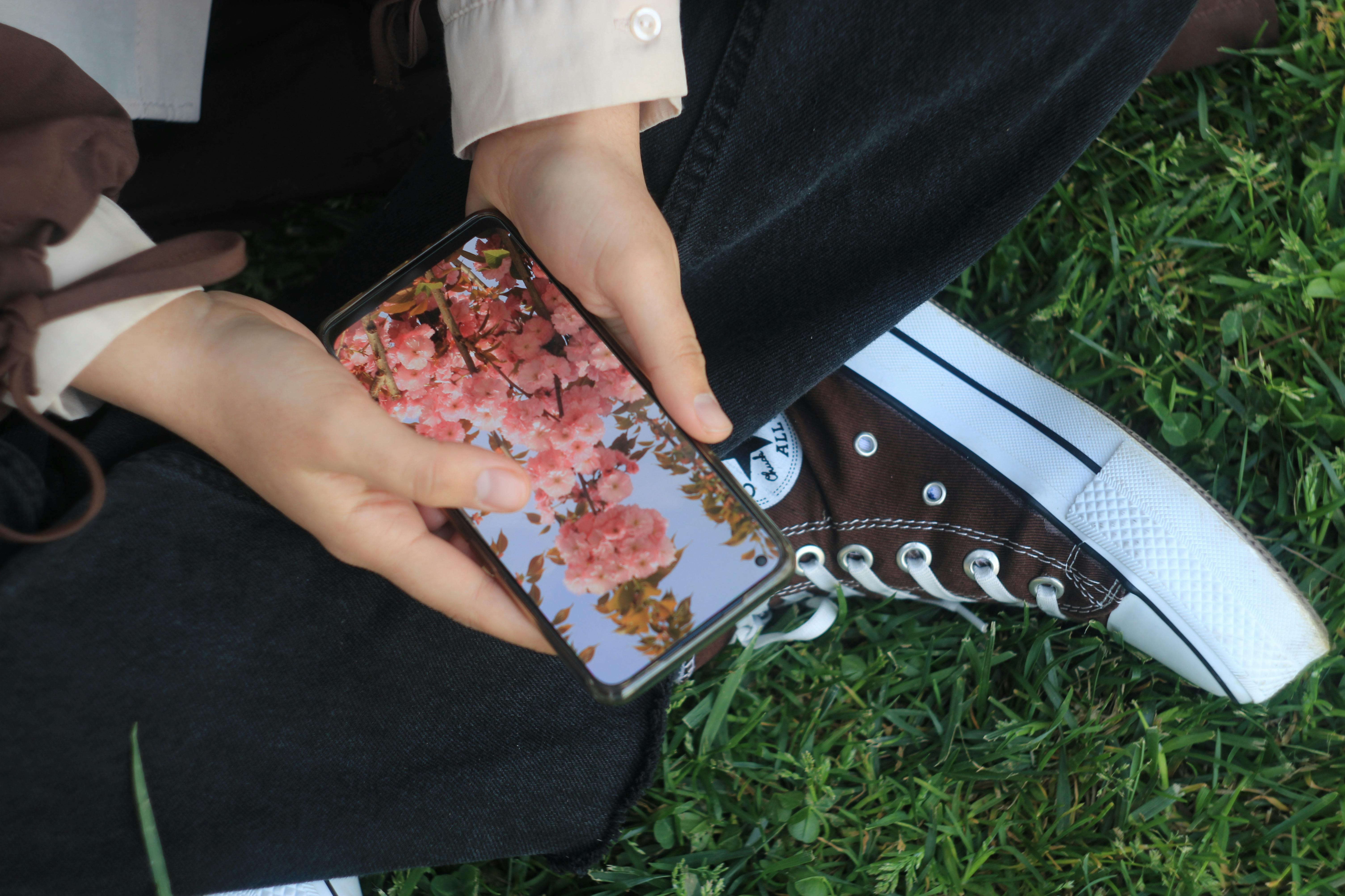 Flowers Fit Screen Wallpaper Photos, Download The BEST Free Flowers Fit ...