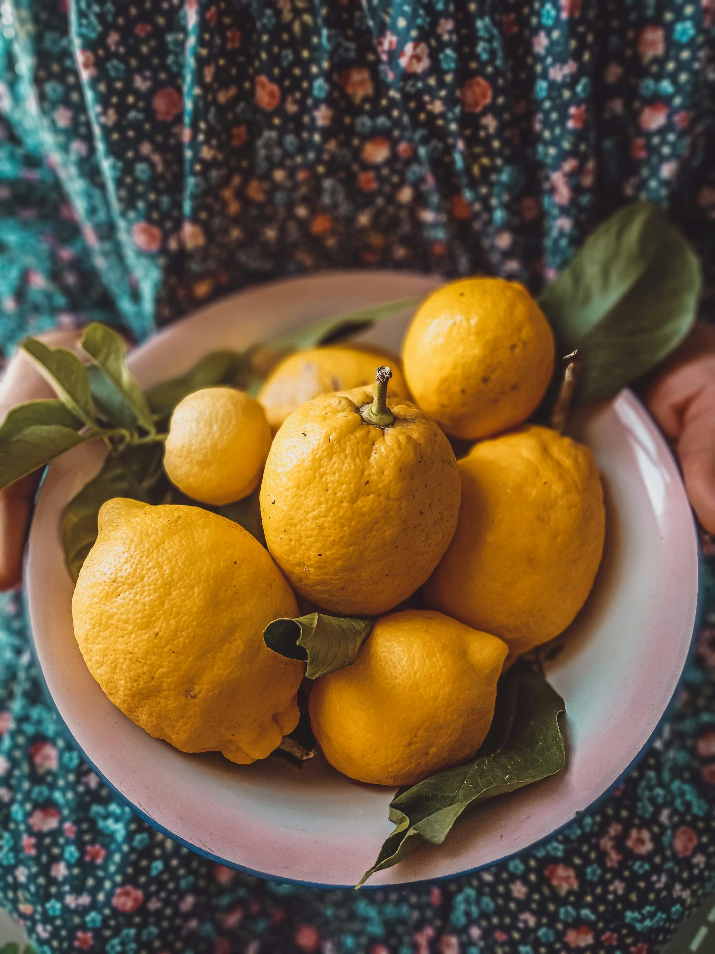 Lemon Fruit on Branch during Day Time · Free Stock Photo