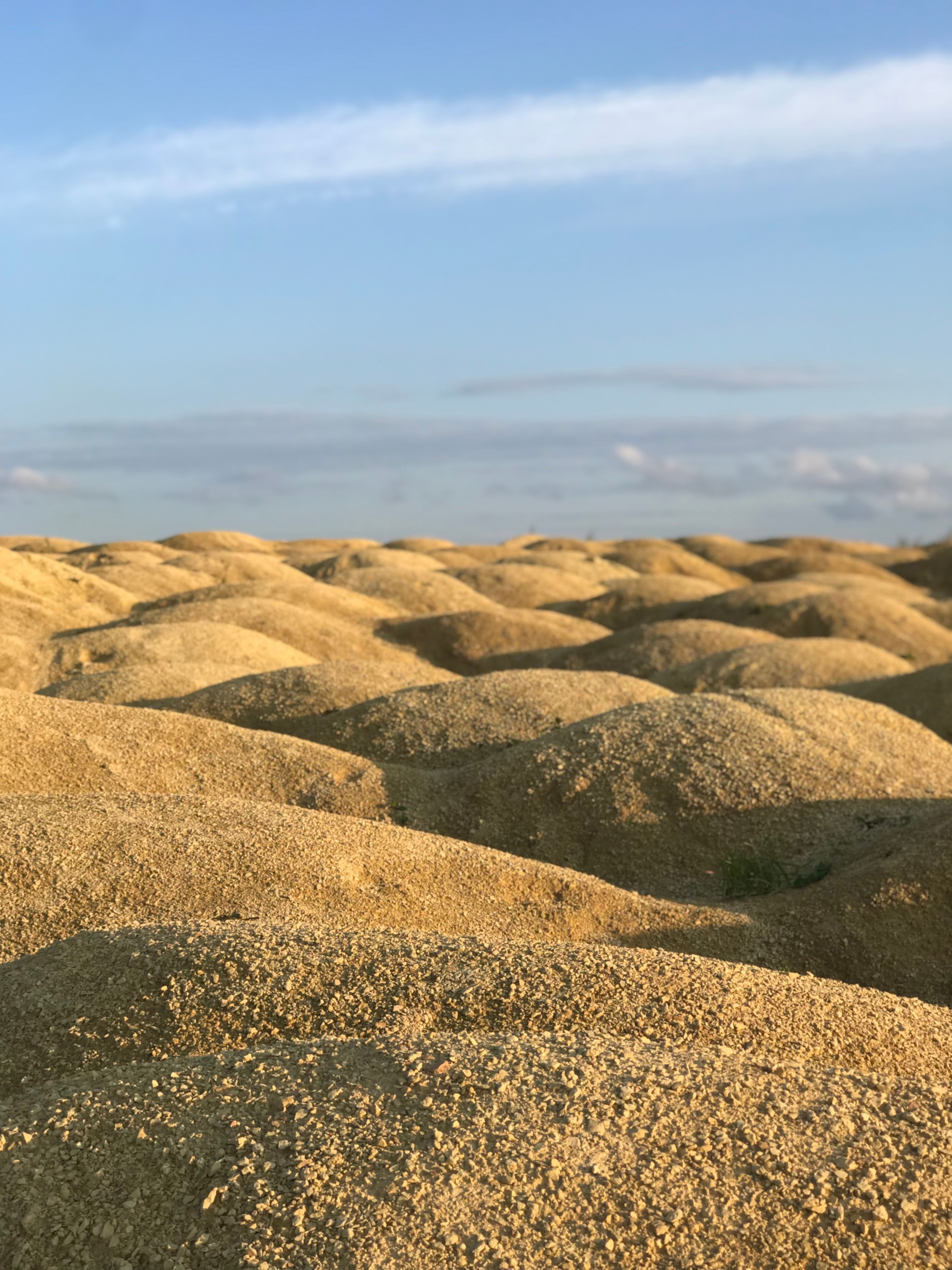 Minefield on Desert · Free Stock Photo