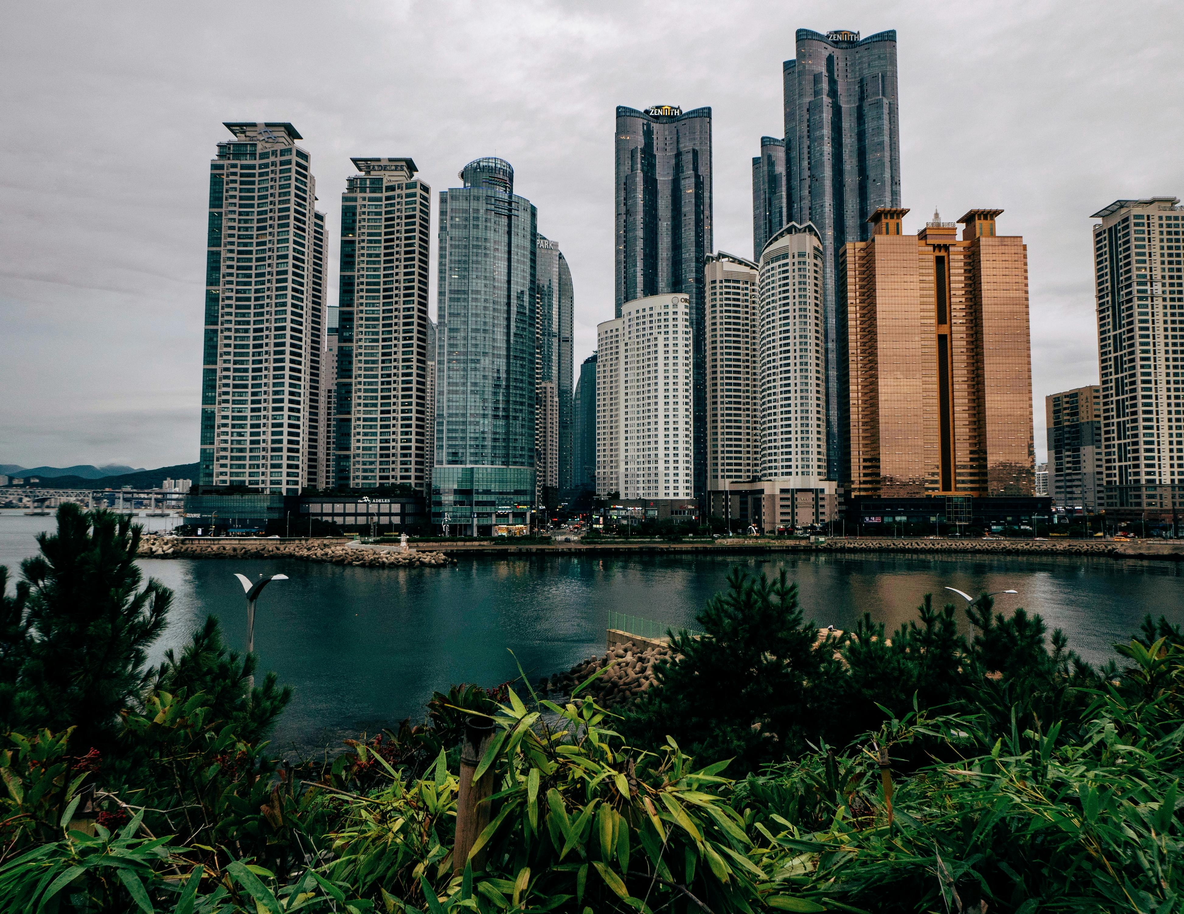 High Rise Buildings in the City · Free Stock Photo