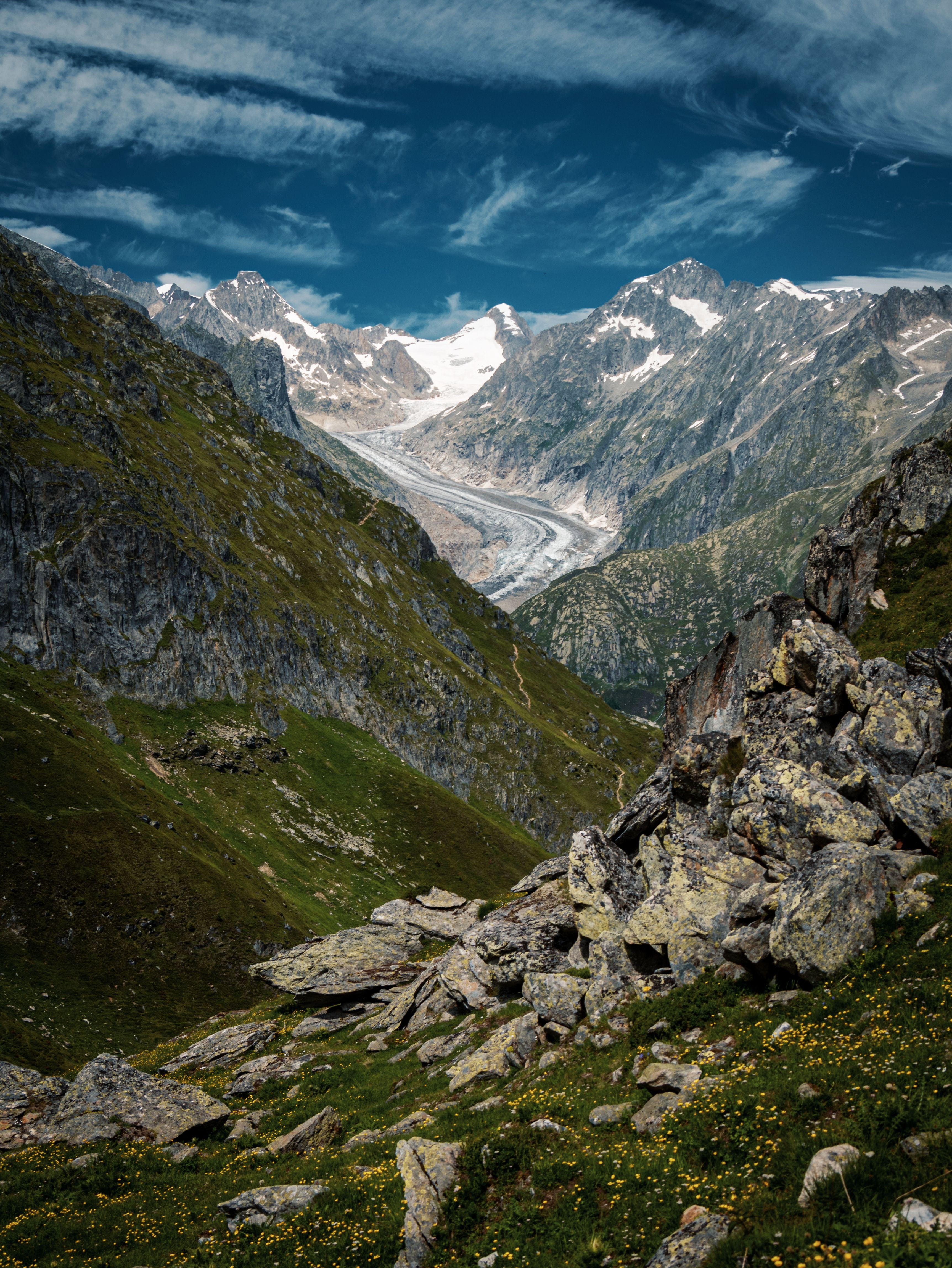 Rolling Mountain Landscape with Alpine Tundra · Free Stock Photo