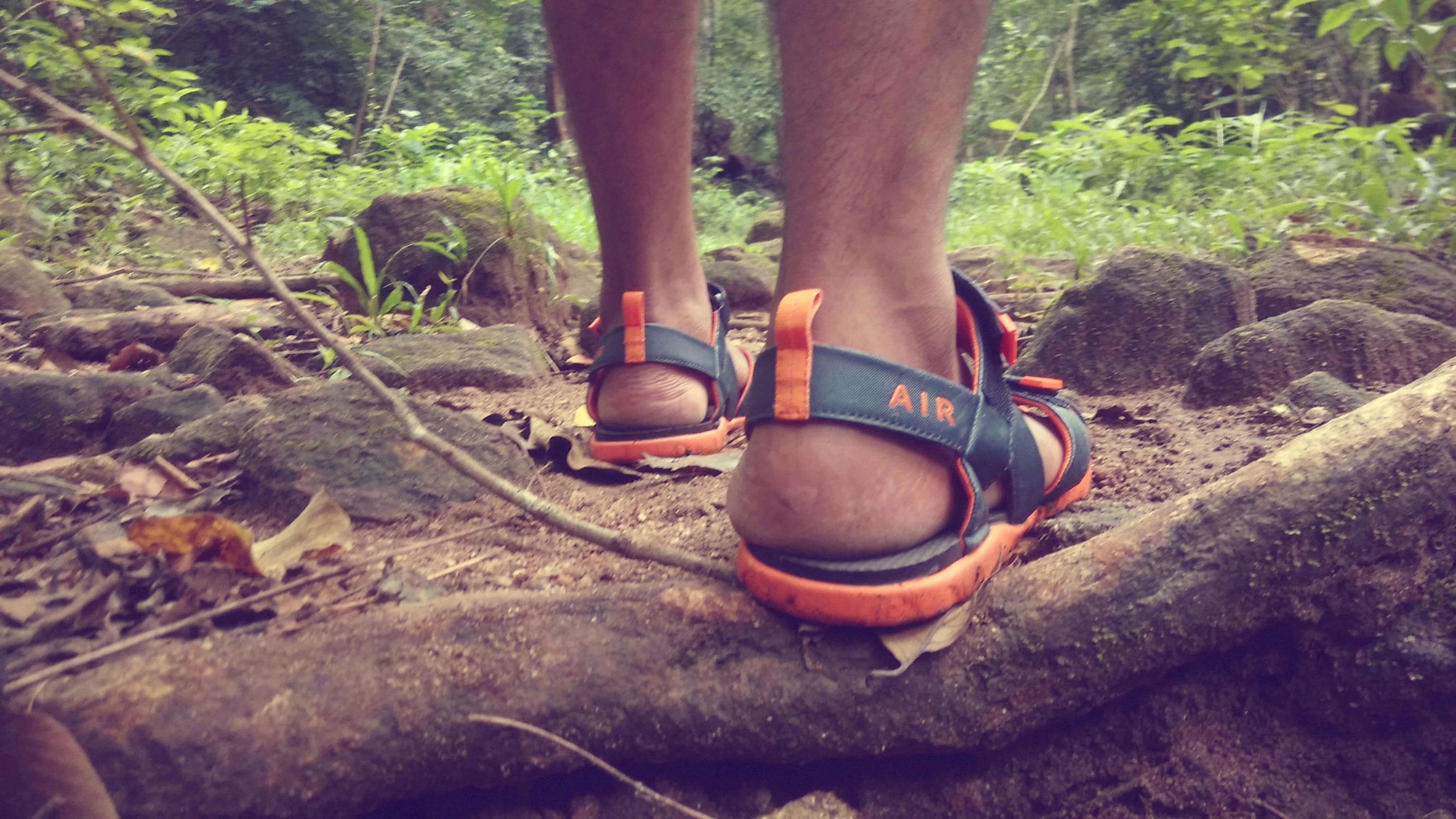 Free stock photo of forest, sandals, tropic rainforest - Stock Image ...