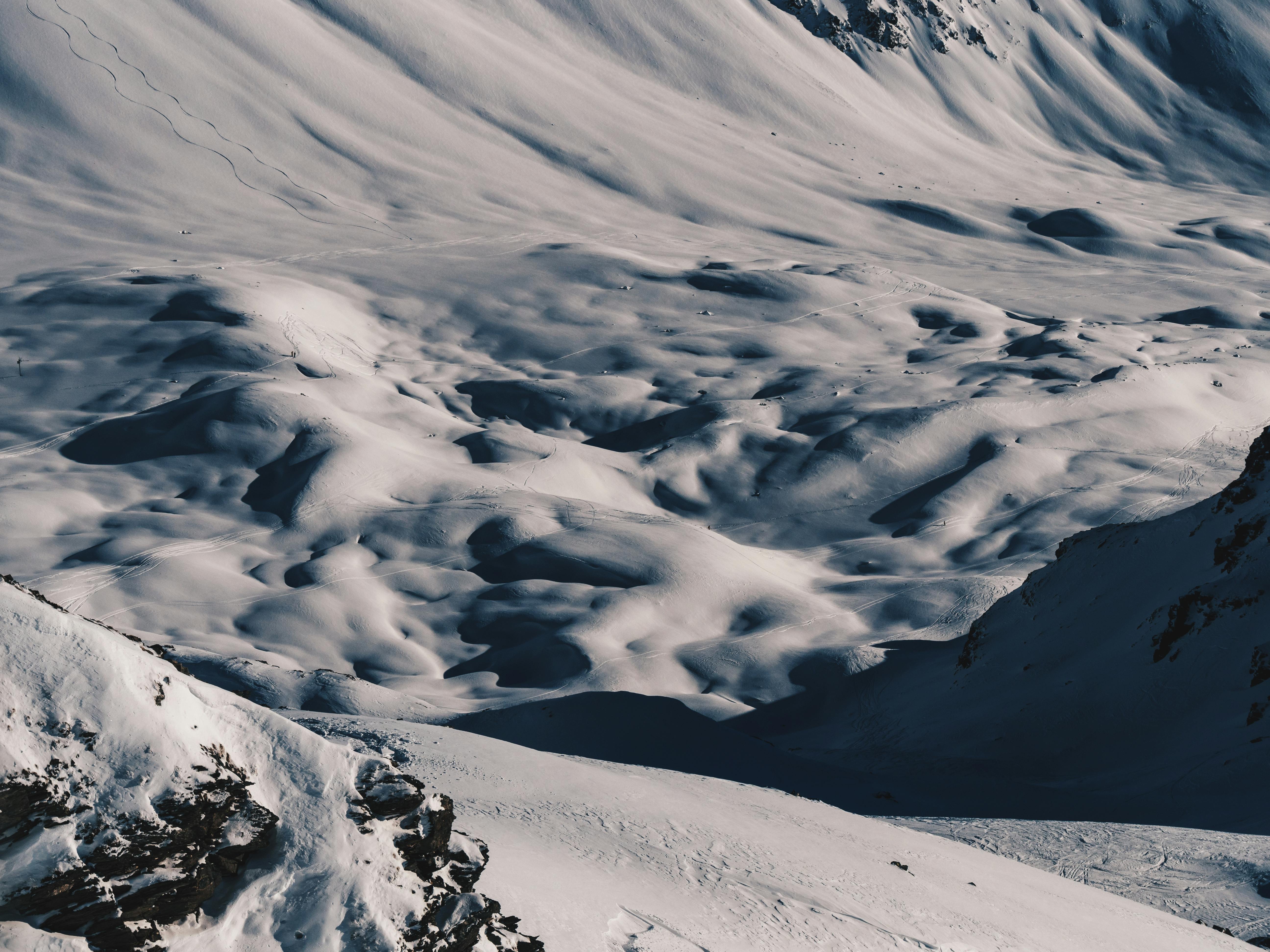 Snow Covered Ground · Free Stock Photo