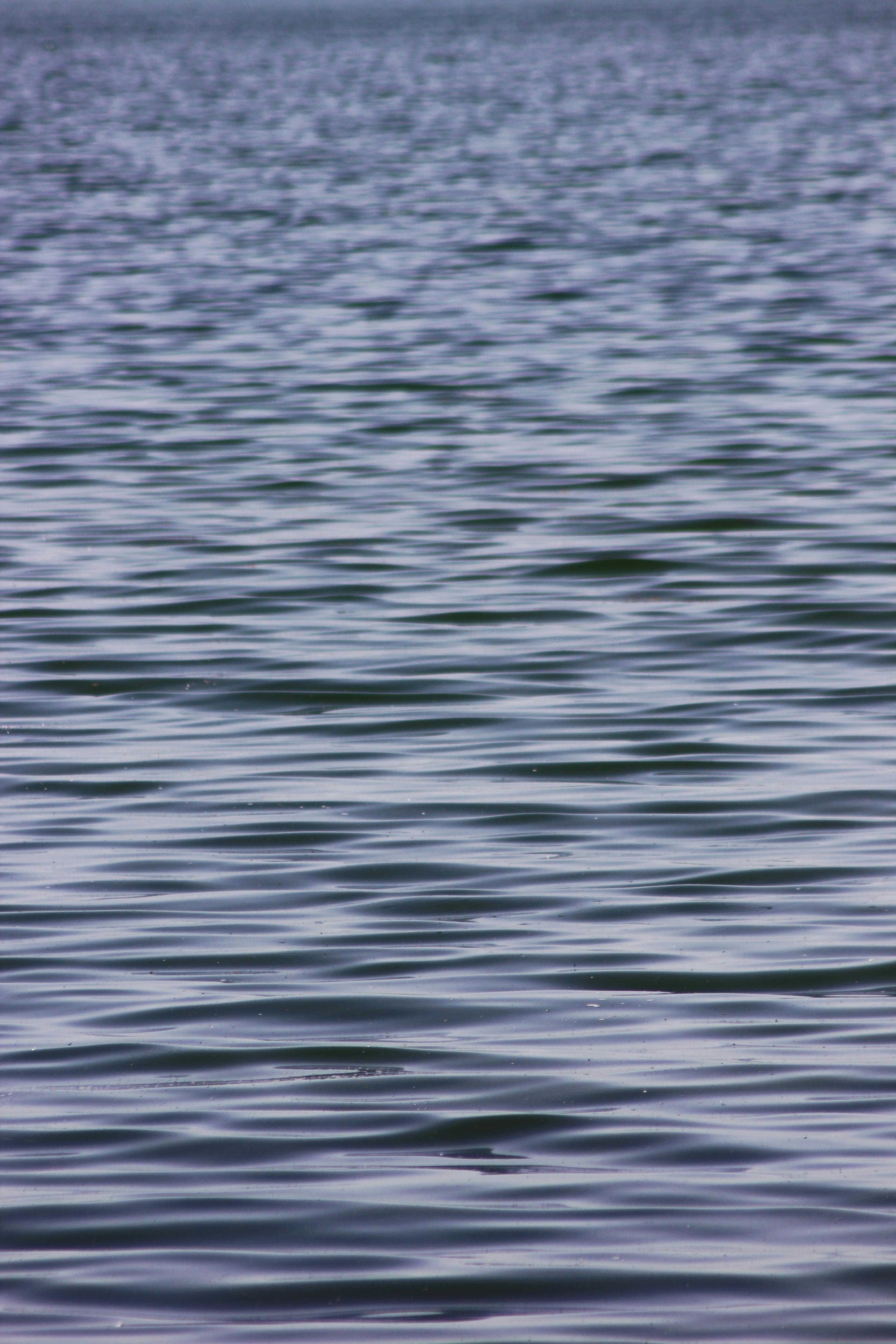 Murky Body of Water · Free Stock Photo