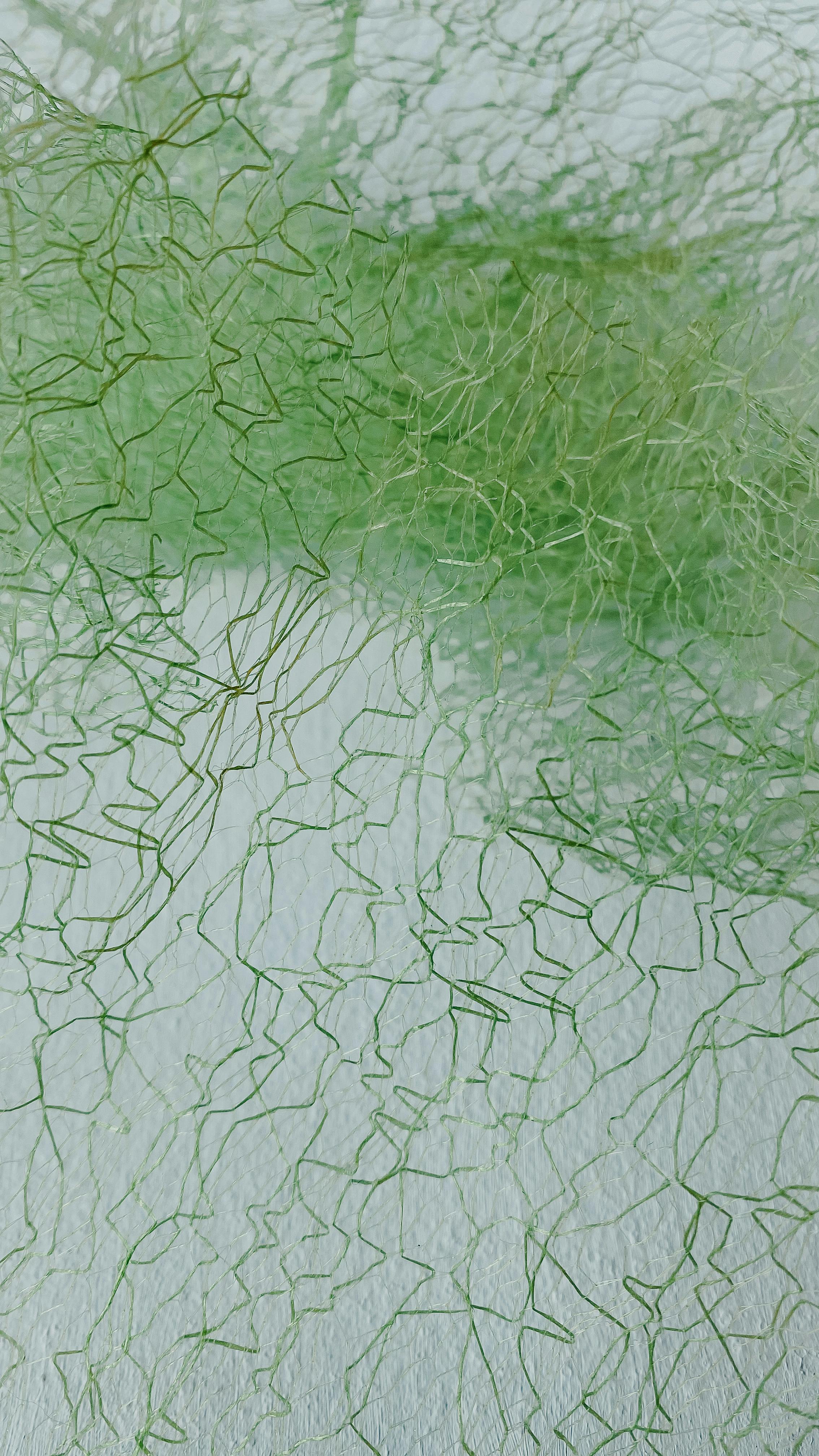 Tattoo Background Filler Designs Photos, Download The BEST Free Tattoo ...