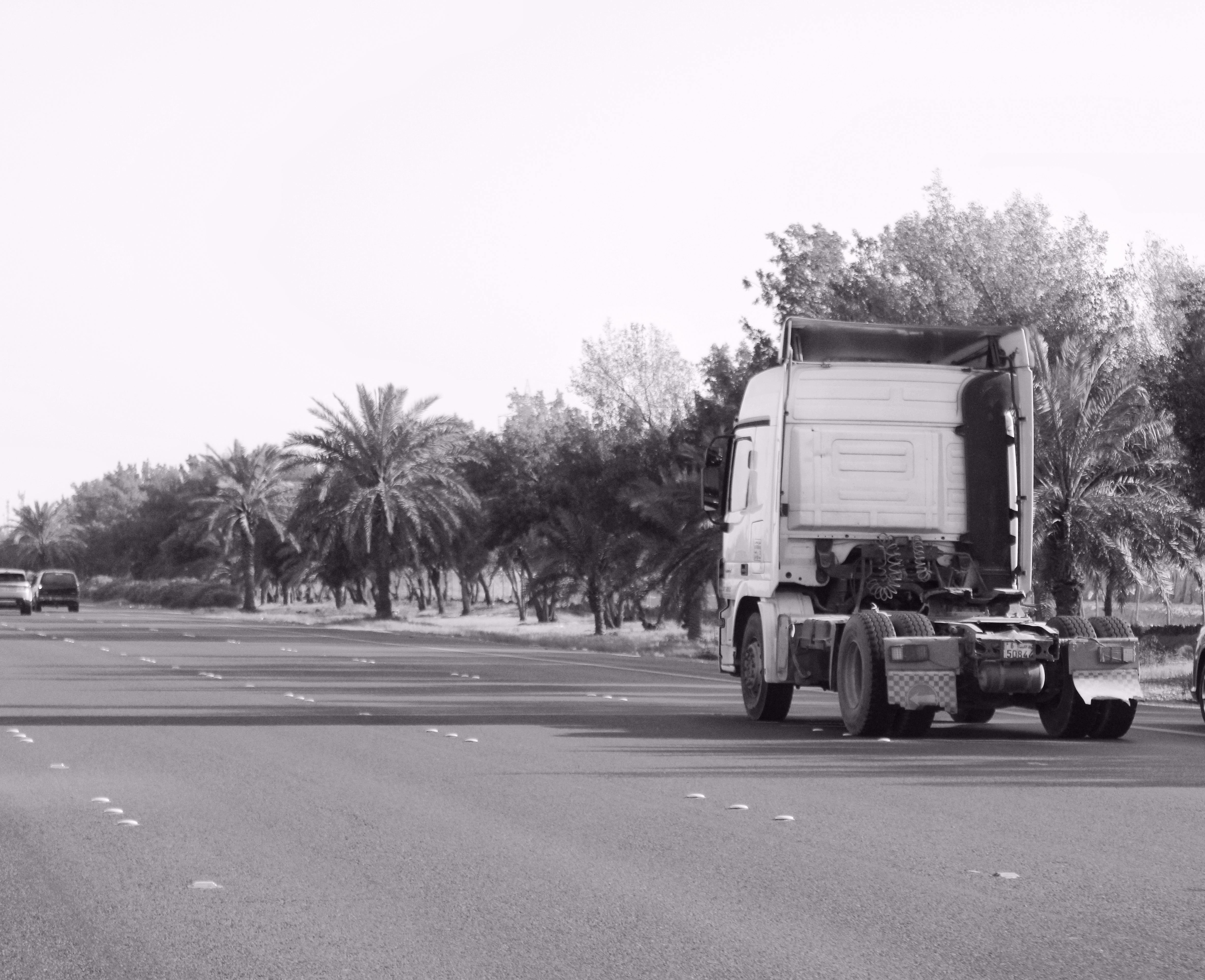 Aquib Alam - Photography