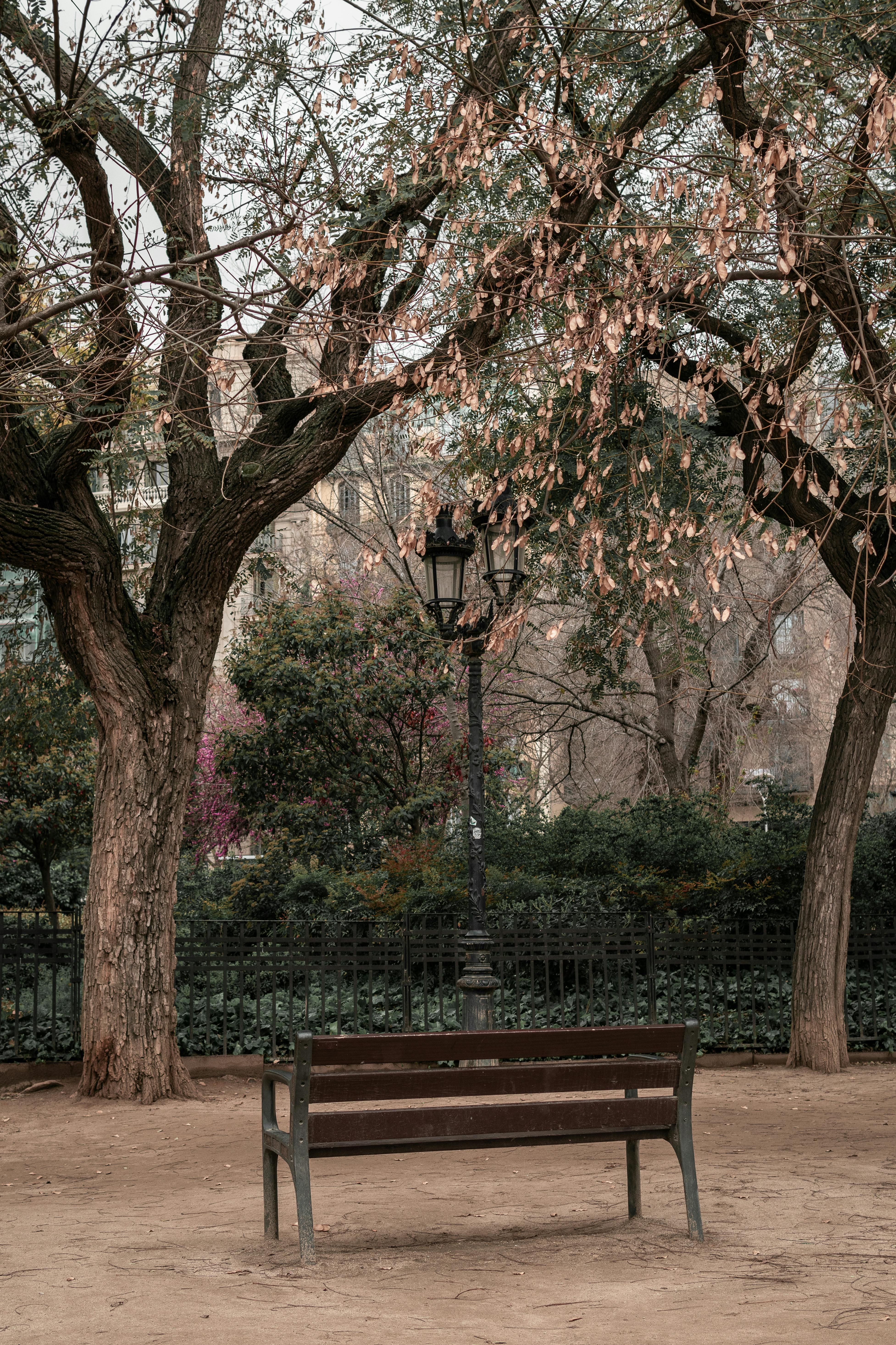 A Wooden Bench between Trees · Free Stock Photo