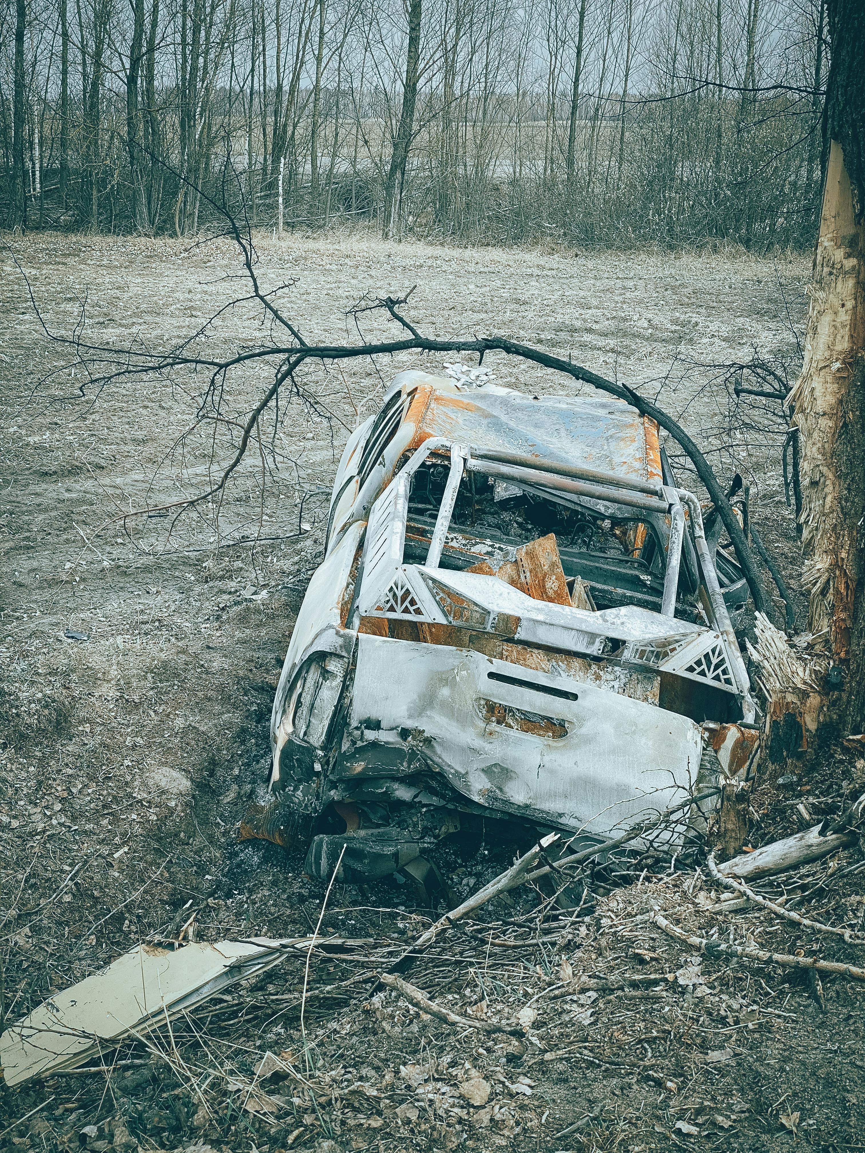 Wrecked and Burned Car beside a Leafless Tree · Free Stock Photo