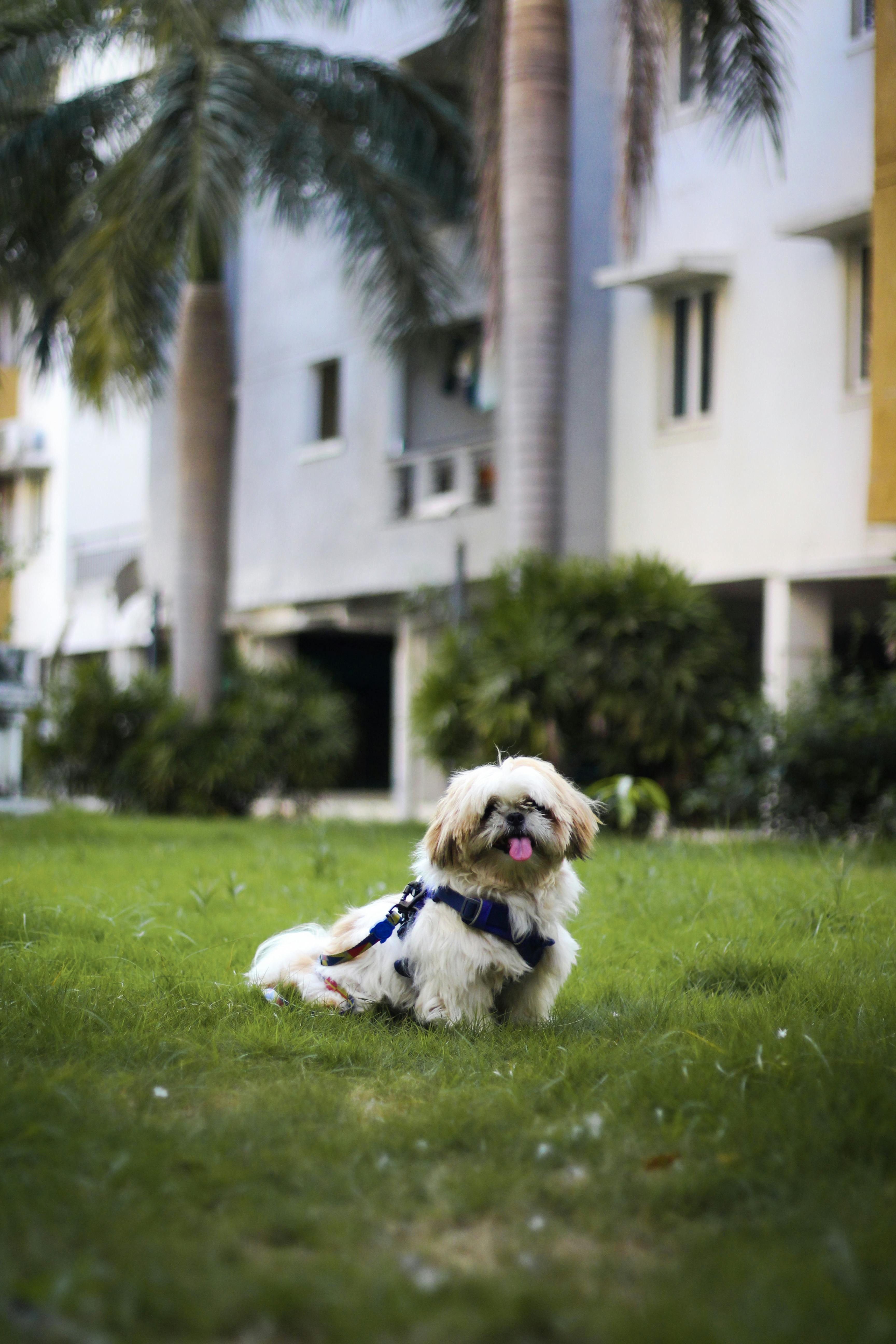 48+ Best Free Unsplash Stock Photos & Images · 100% Royalty-Free HD ...