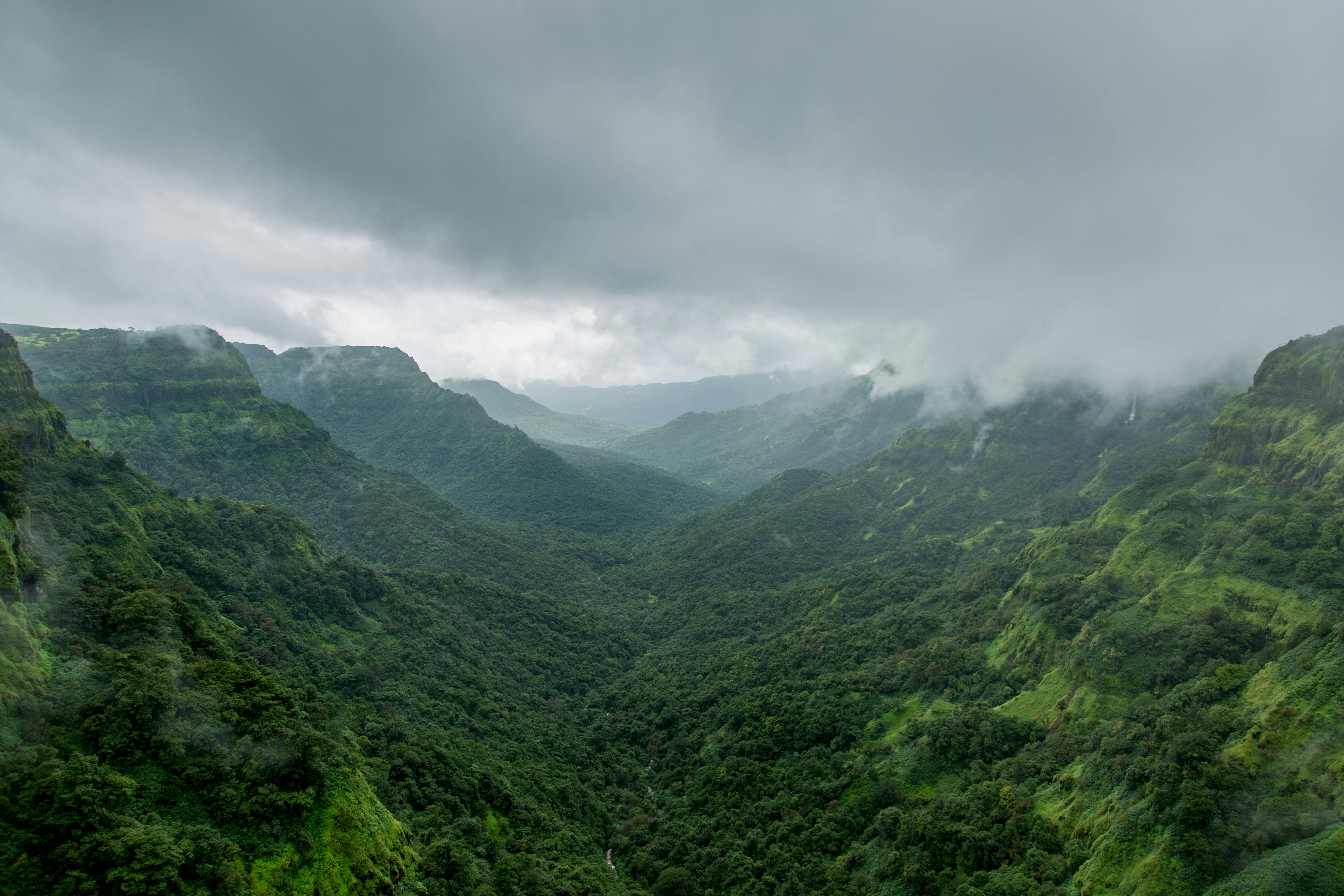 Sheldon Rodrigues - 사진