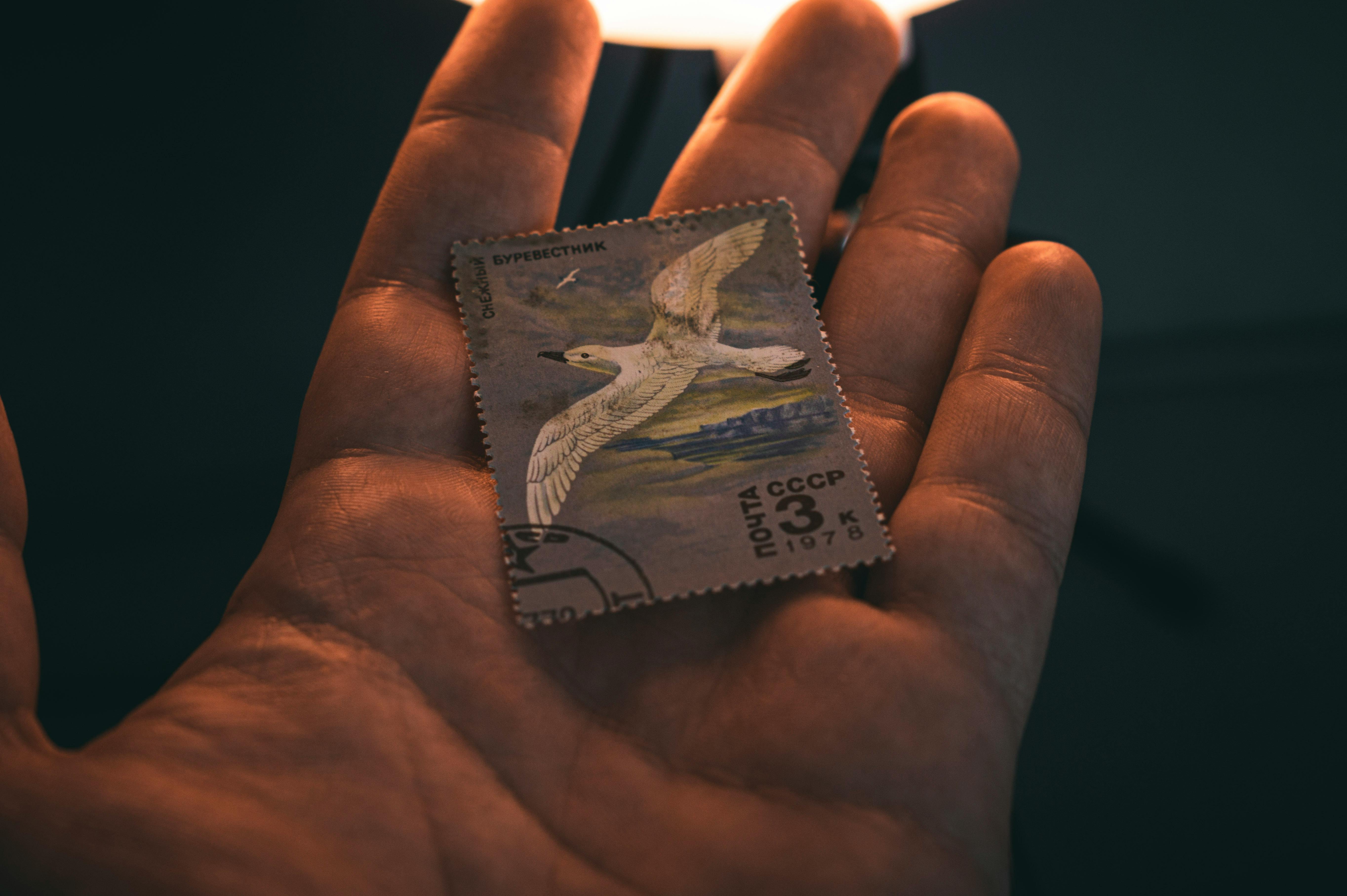 A Postage Stamp on a Hand · Free Stock Photo