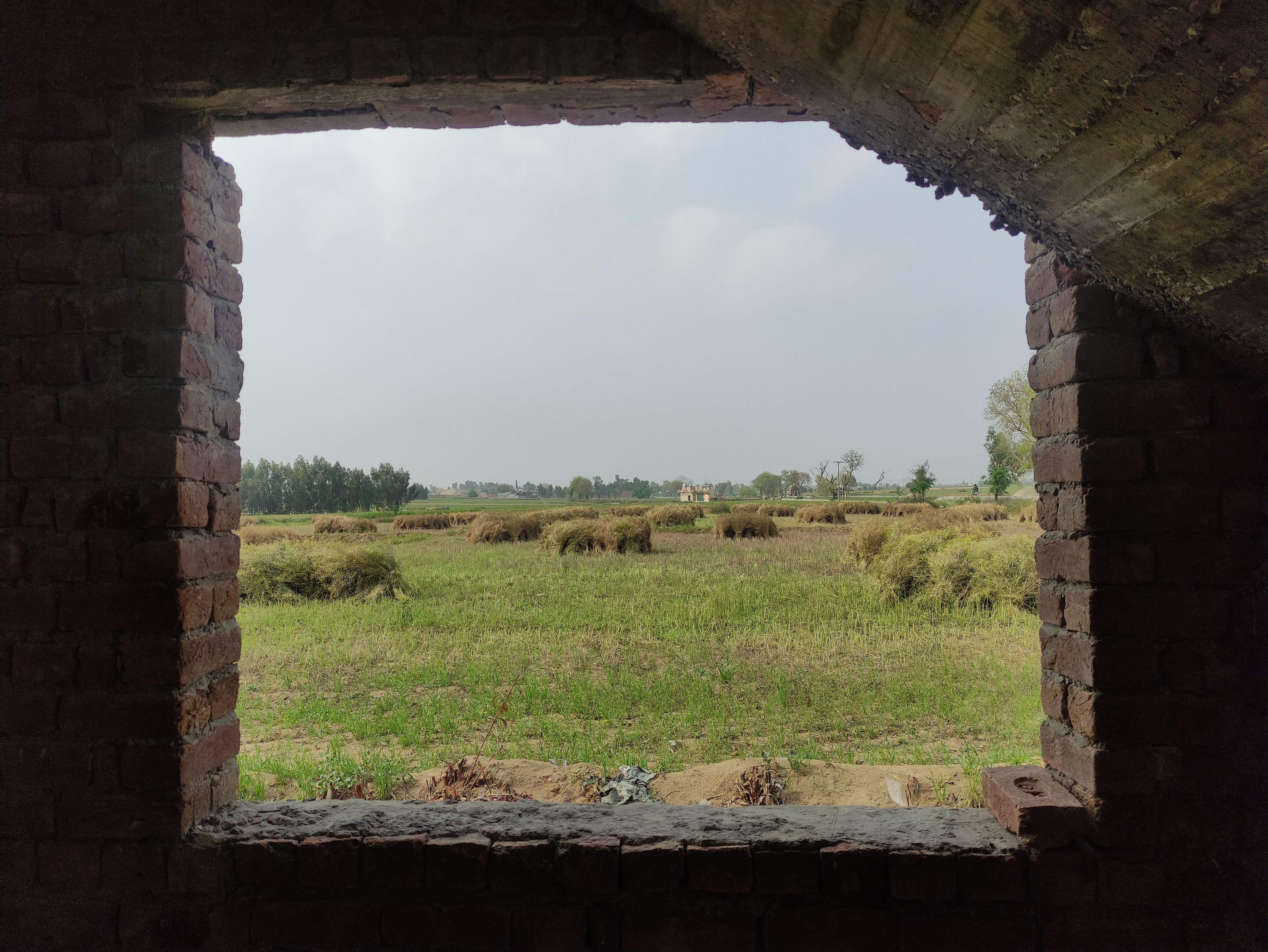 View of a Grass Field from a Window · Free Stock Photo