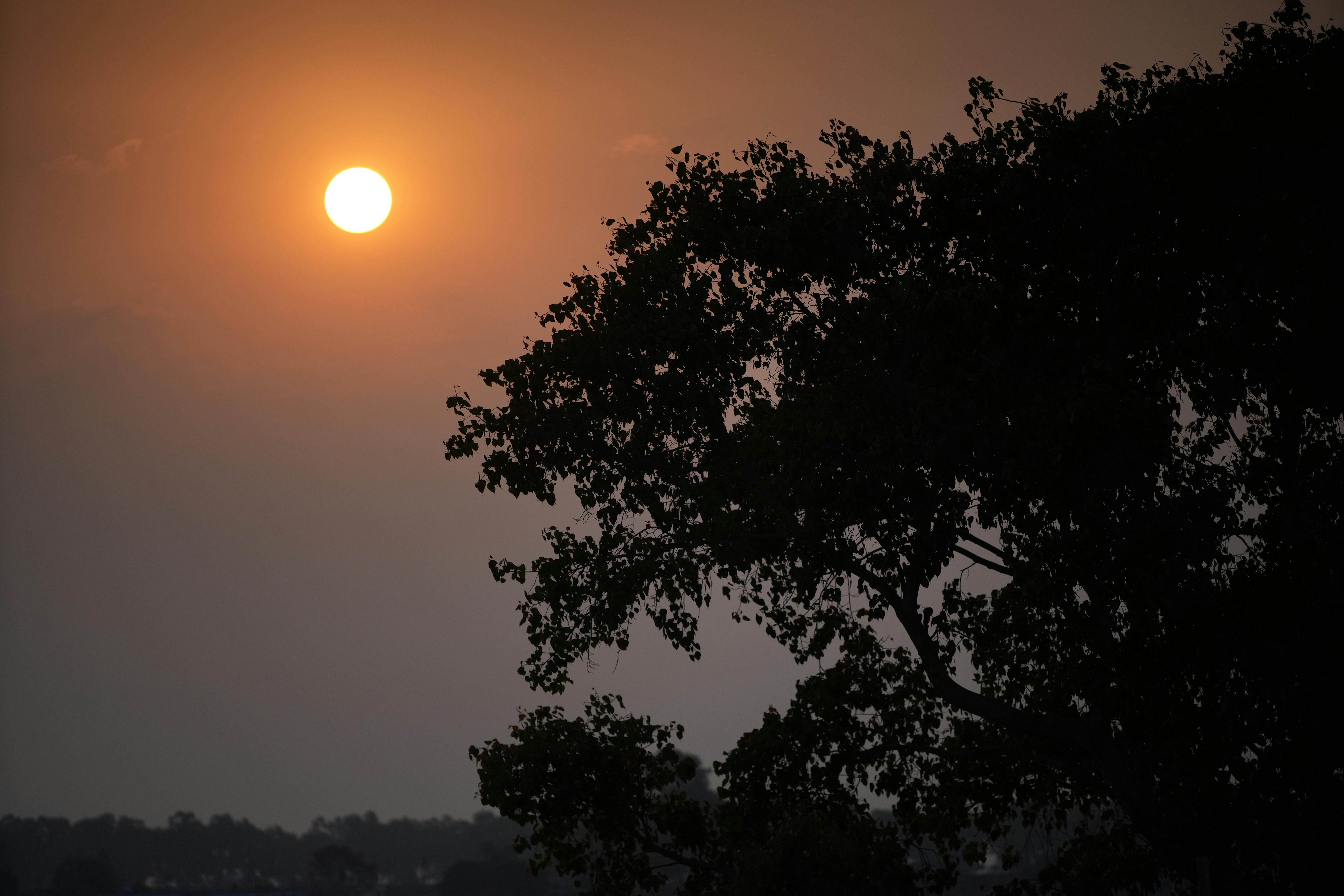 beautiful Full Moon in the Sky · Free Stock Photo