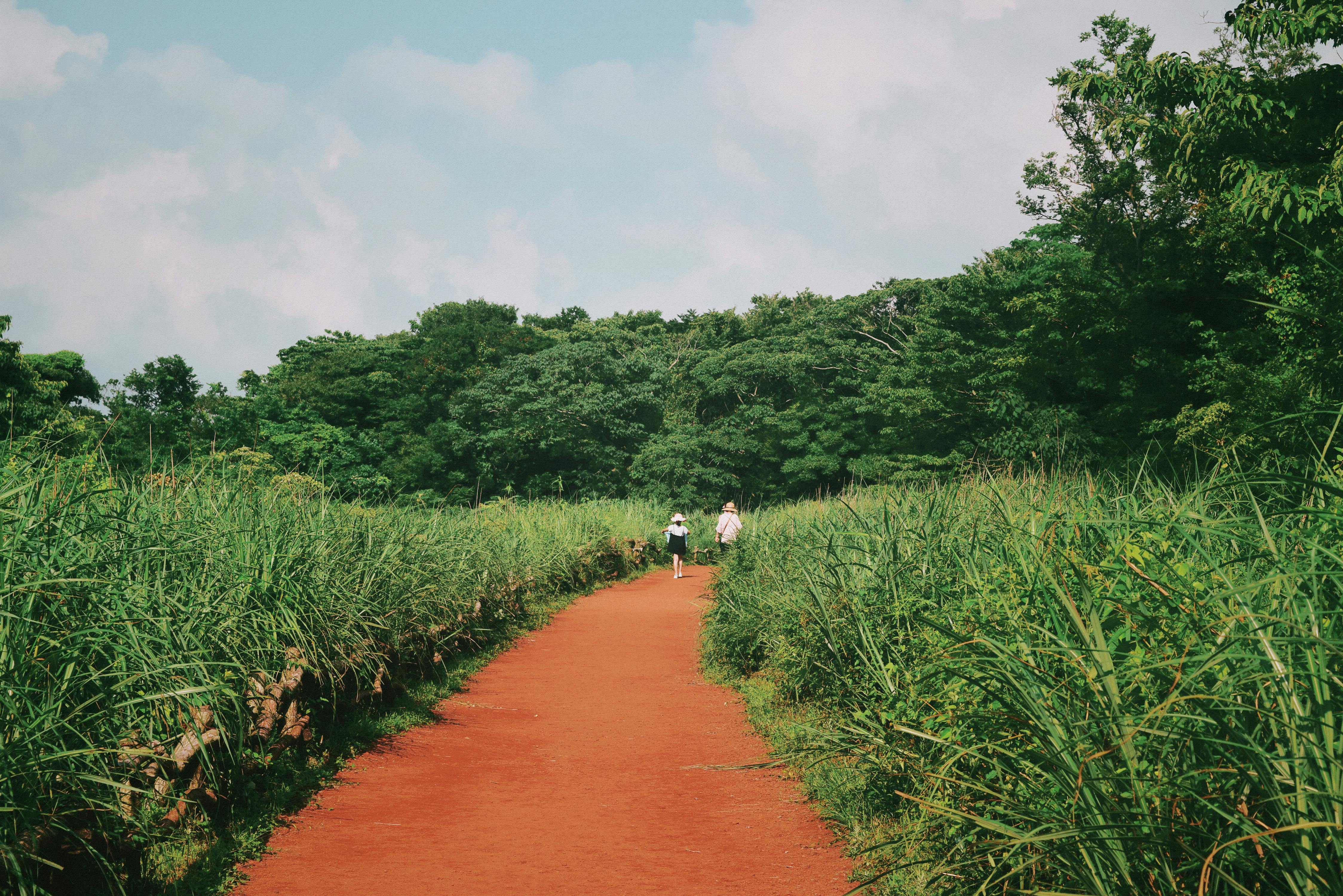People Walking on the Road Between Green Grass Field · Free Stock Photo