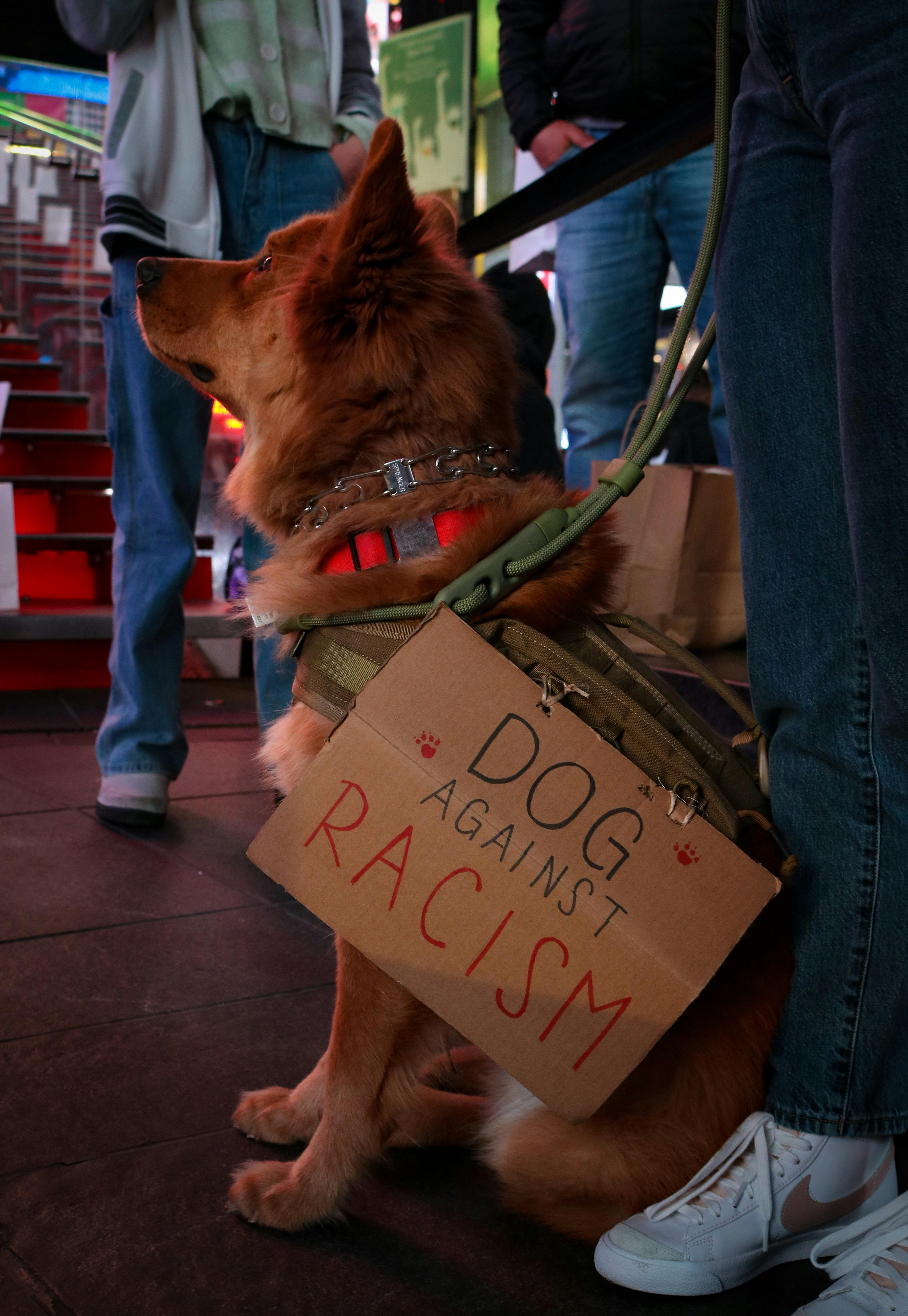 29,200+ Best Free Activism Stock Photos & Images · 100% Royalty-Free HD ...