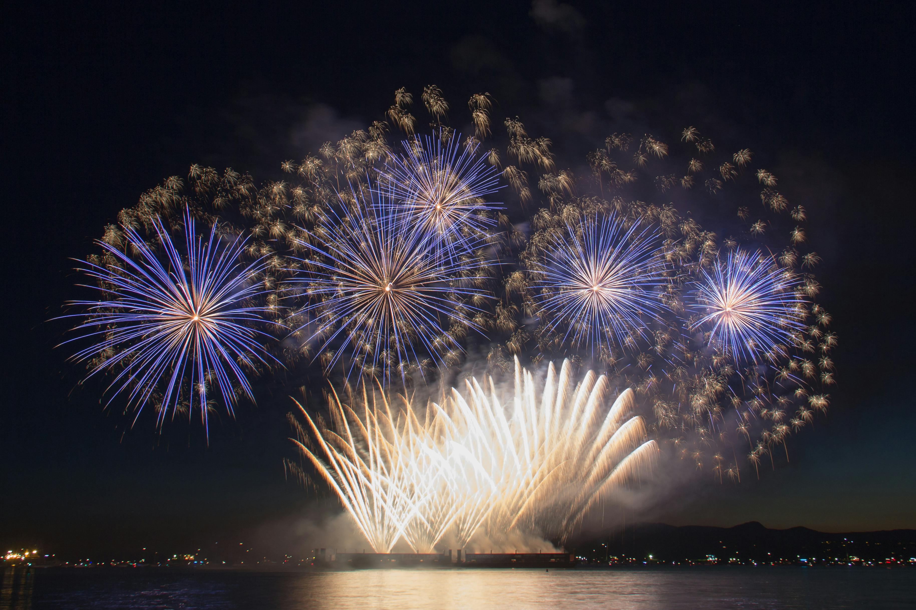 Fireworks Display at Night · Free Stock Photo