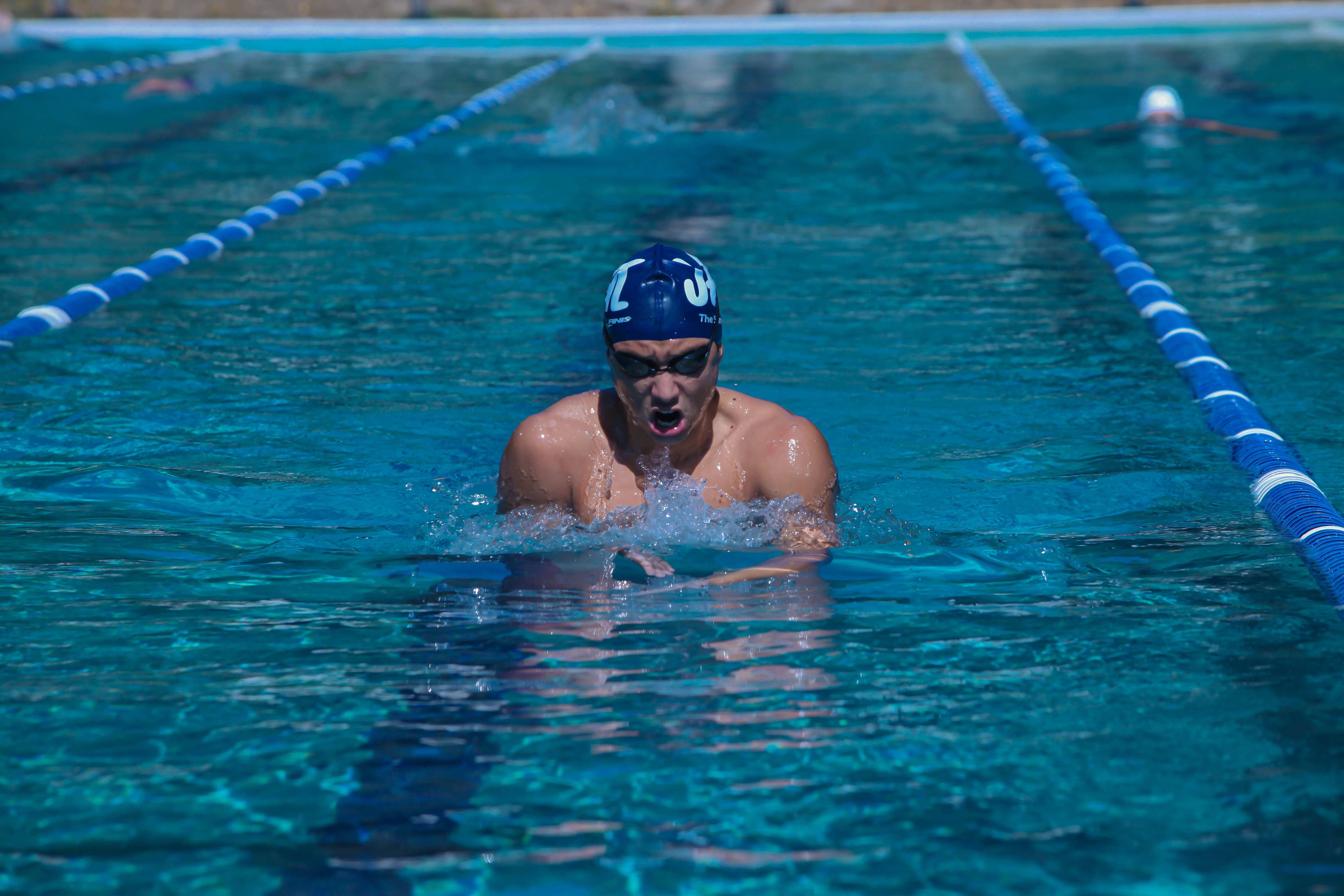 People Swimming in an Olympic Swimming Pool · Free Stock Photo