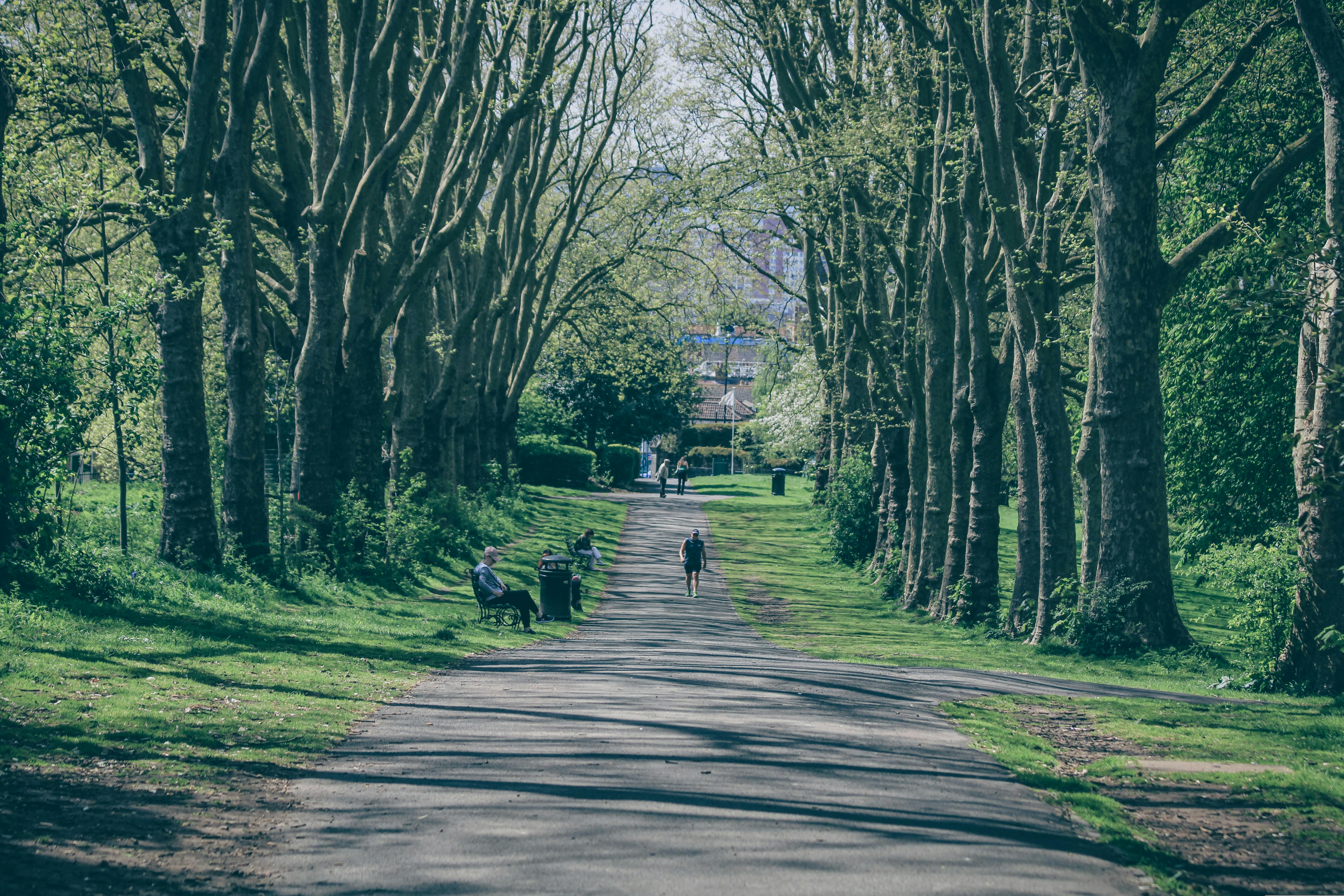People at a Park · Free Stock Photo