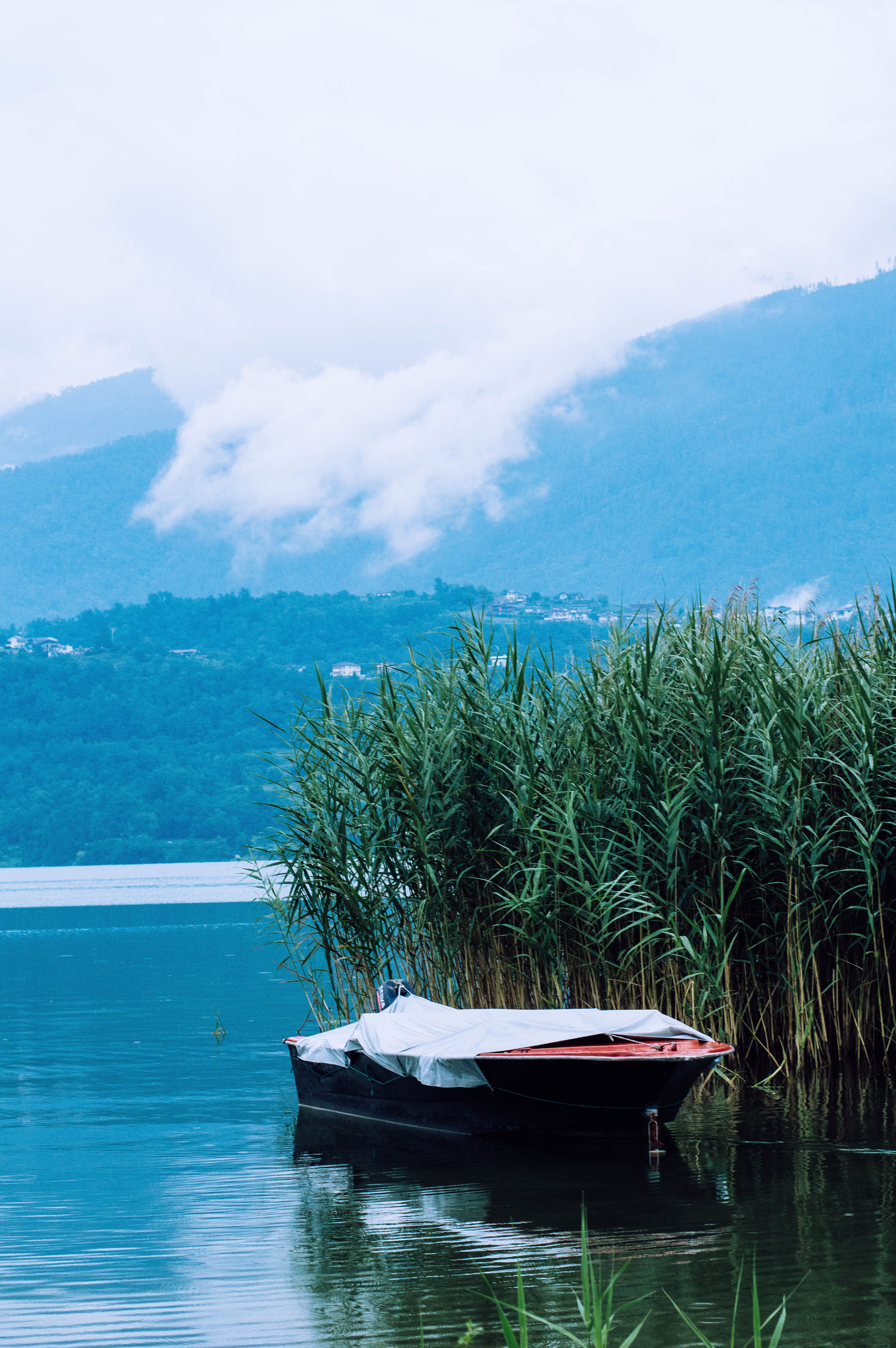 Fans Alps Photos, Download The BEST Free Fans Alps Stock Photos & HD Images