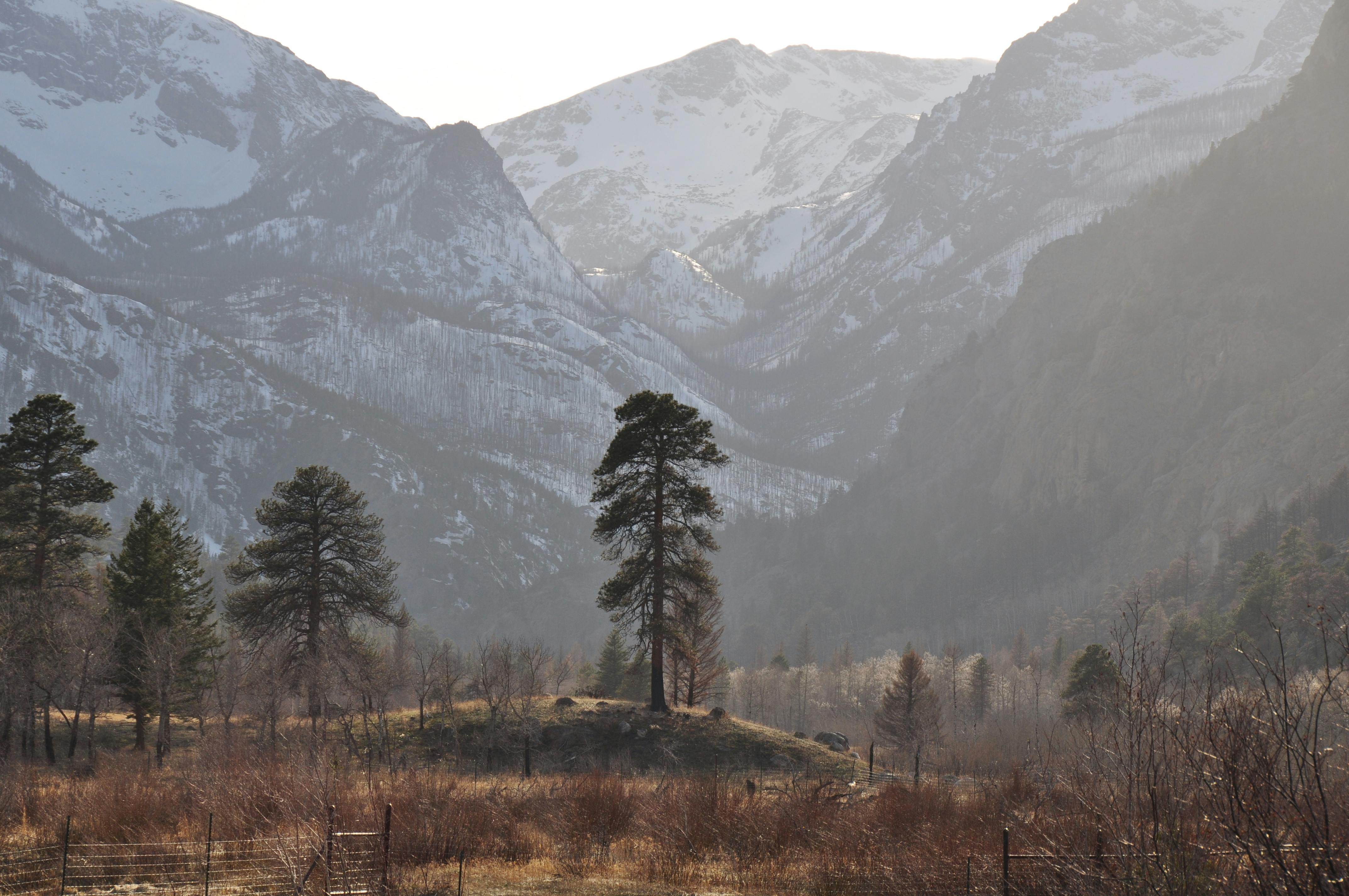 Trees at the Bottom of Mountains · Free Stock Photo