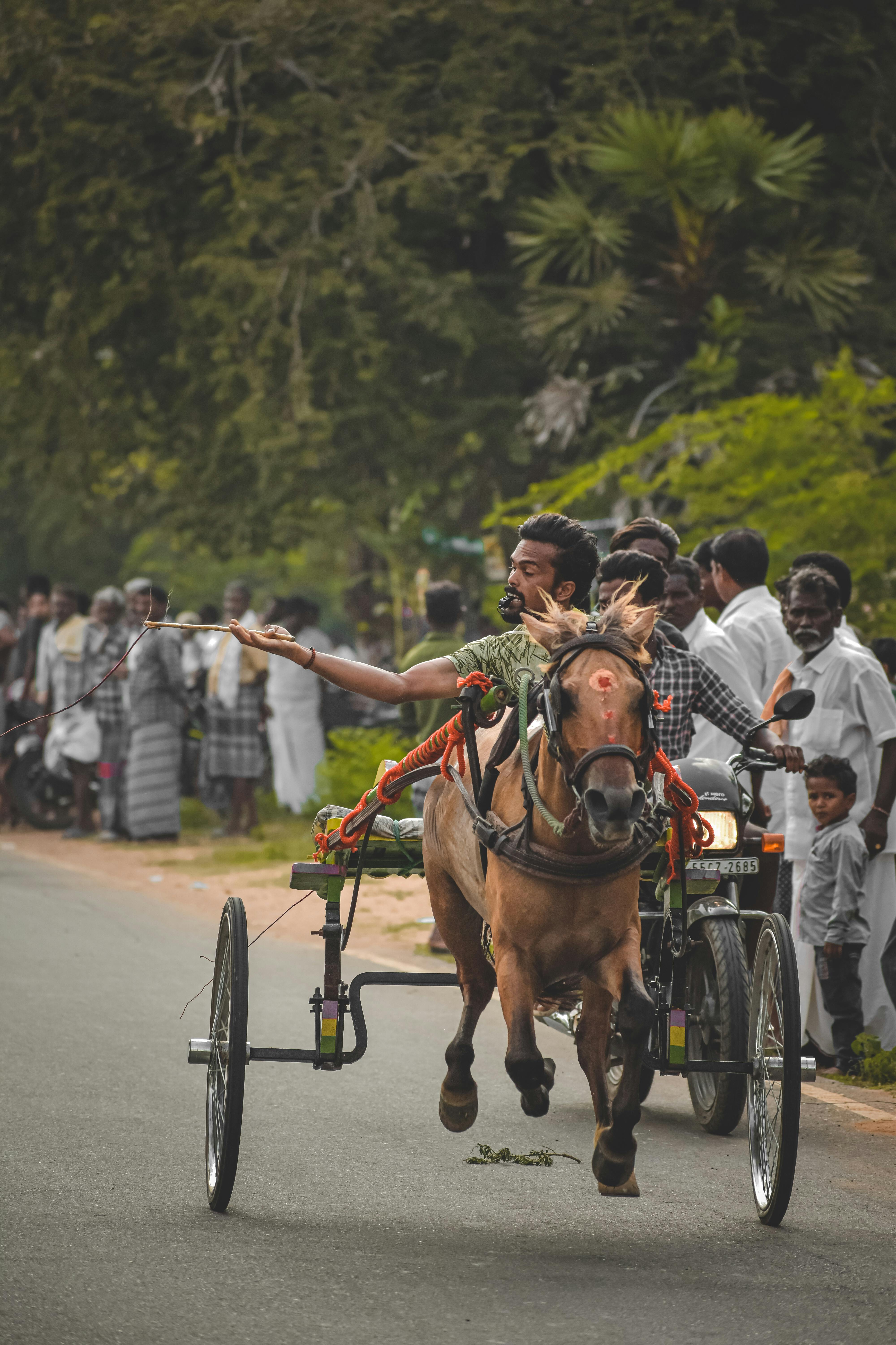 686+ Best Free Feast Stock Photos & Images · 100% Royalty-Free HD Downloads