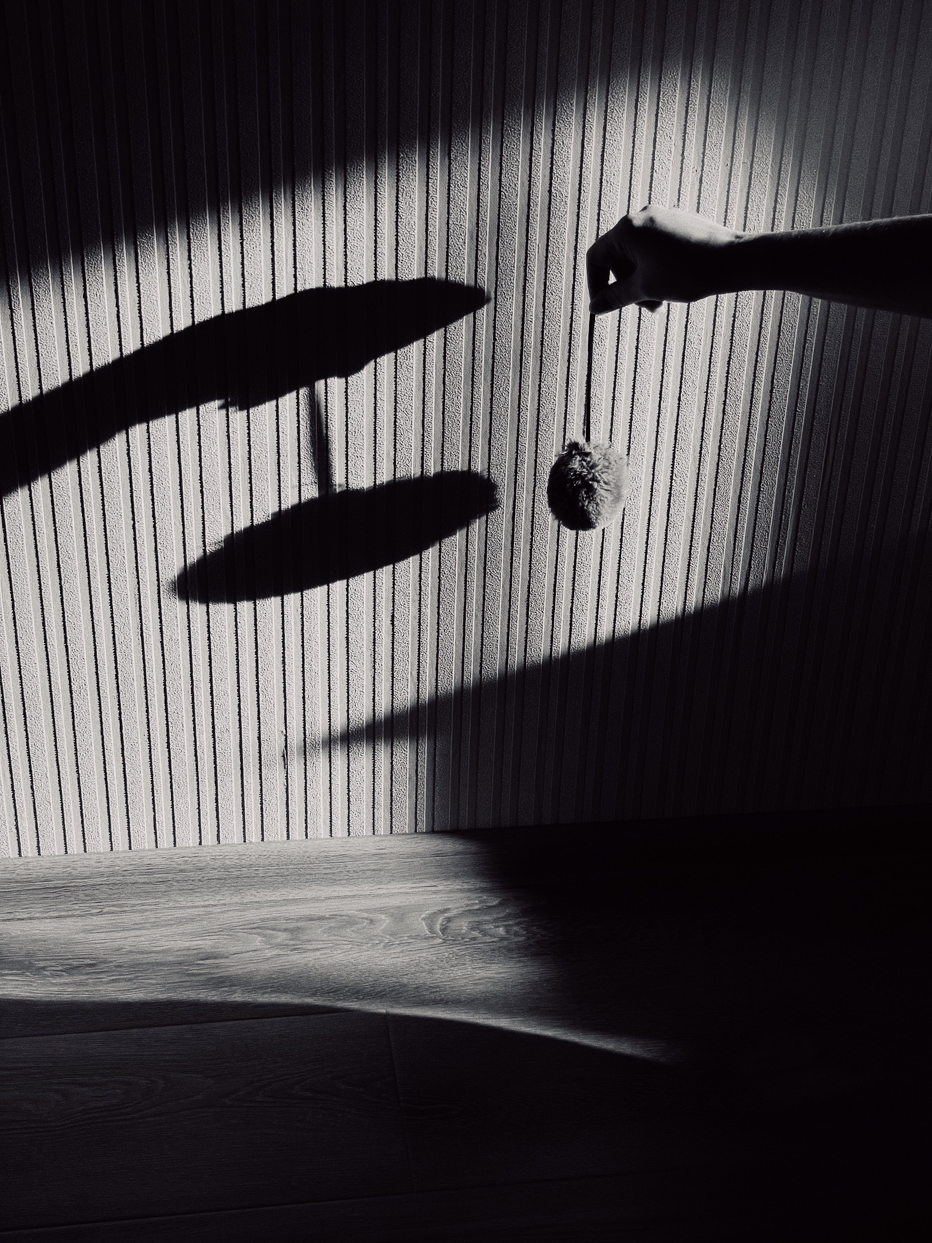 Shadow of a Hand Holding a Key on Wall · Free Stock Photo