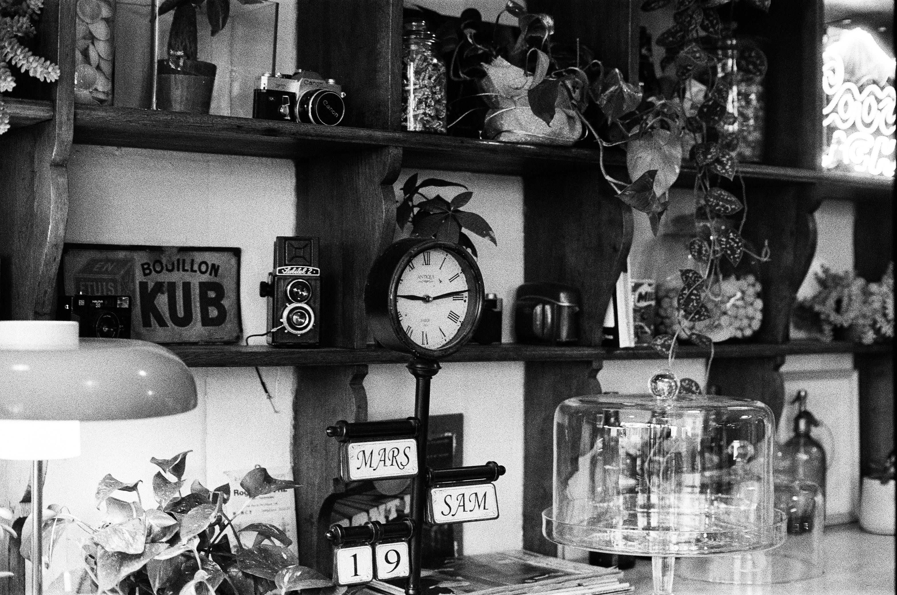 Vintage Aesthetic 99 Photos & Videos Collected by Lisa Fotios